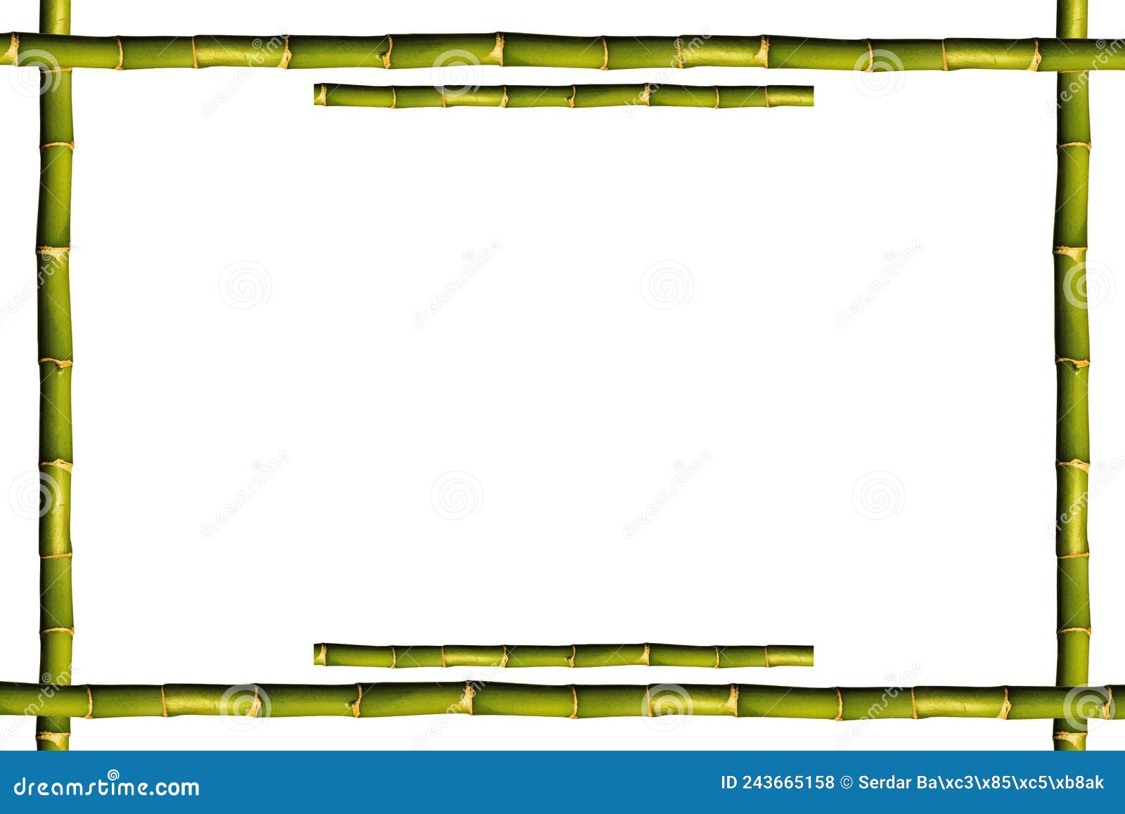 Square Empty Green Bamboo Frame, Isolated on White Background Stock ...