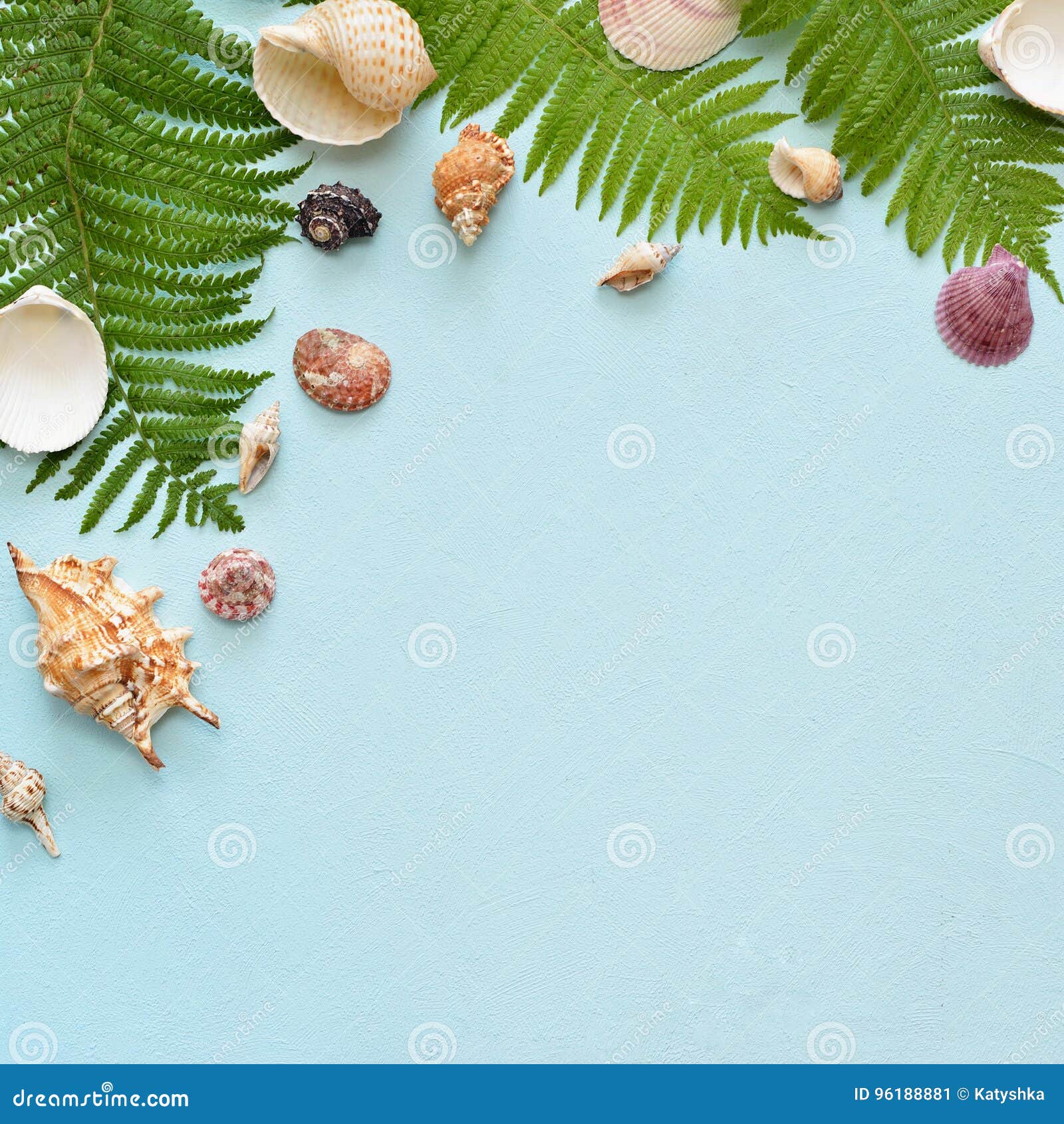 Square Flat Lay. Top View. Frame of Shells of Various Kinds on a Blue ...