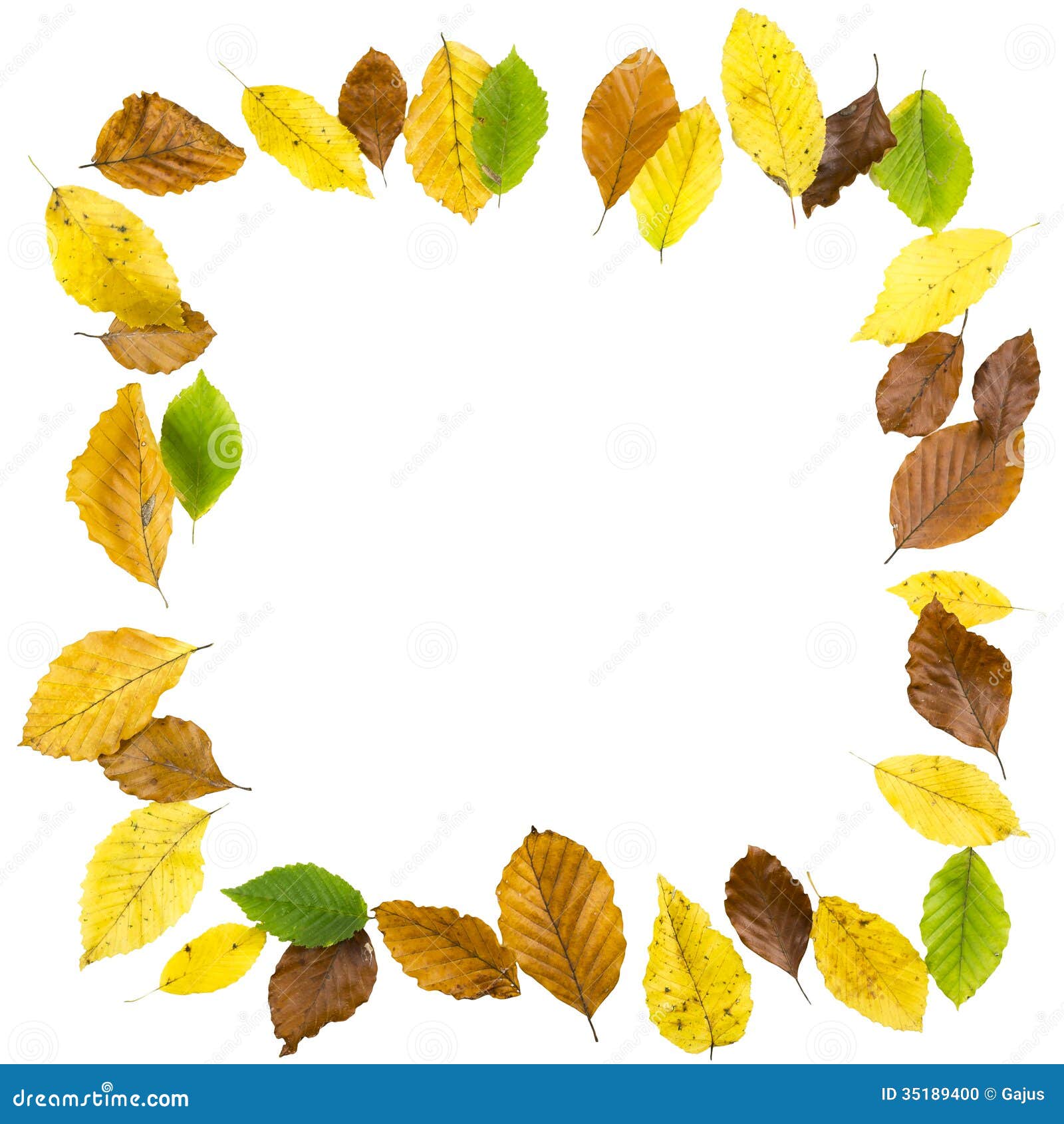 Square Frame of Autumn Leaves Stock Photo - Image of fall, square: 35189400