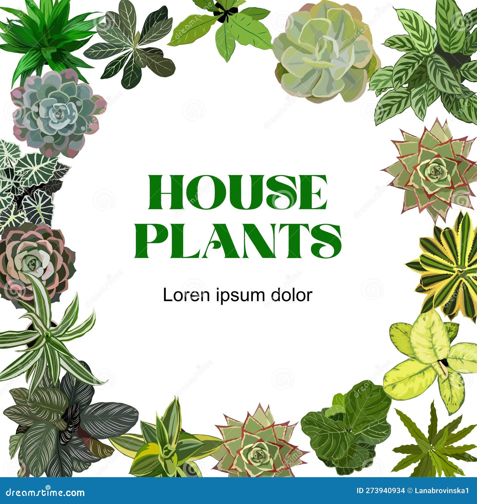 Square Frame with Different House Plants Top View. Stock Vector ...