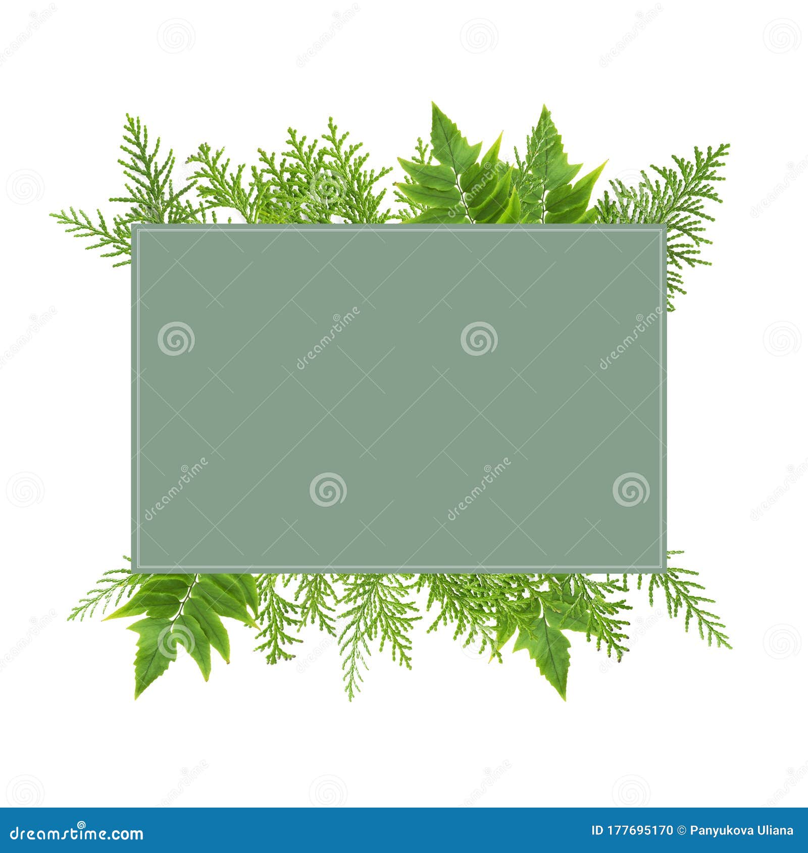 Square Frame with Green Leaves, Template Stock Illustration ...