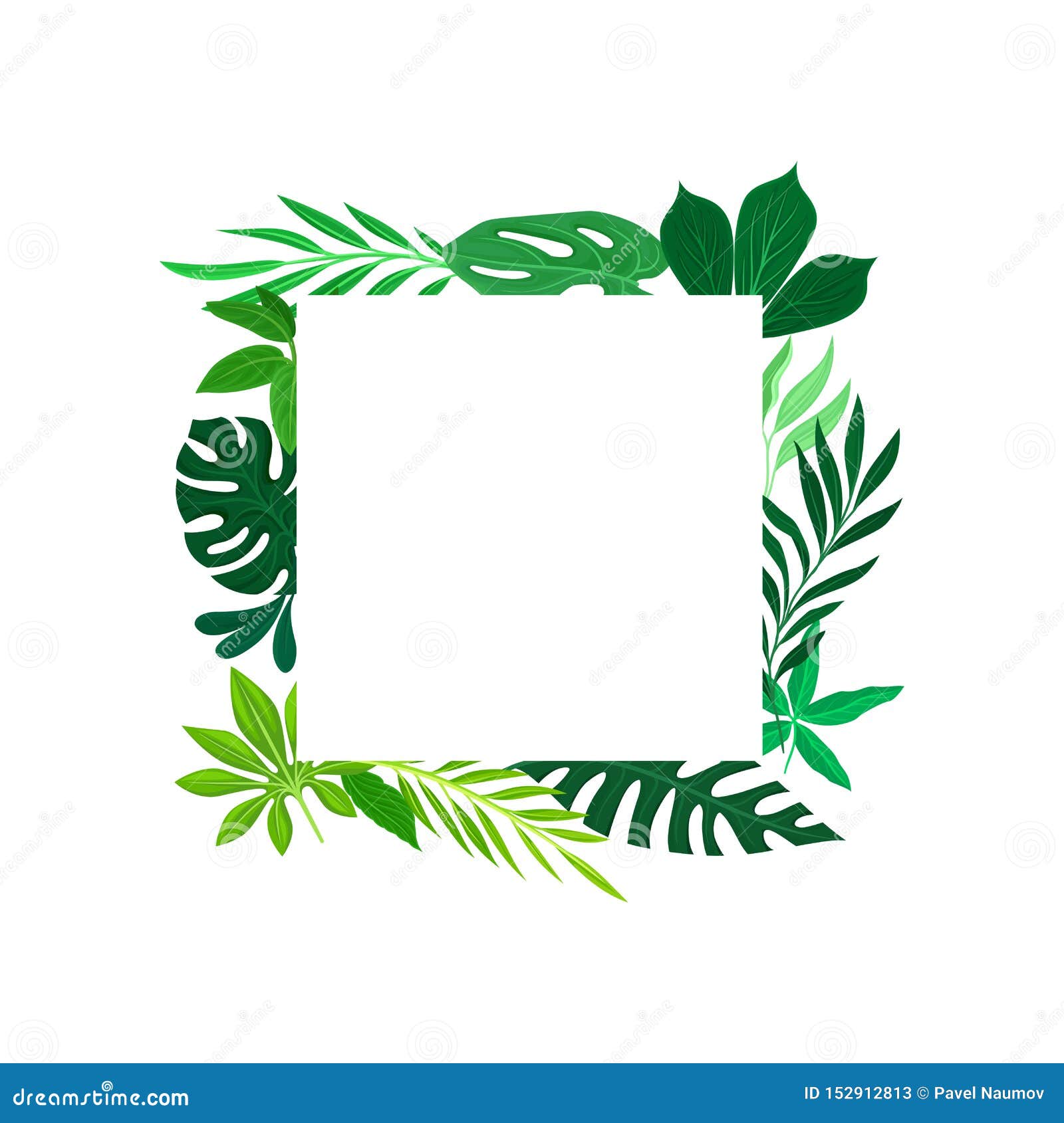 Square Frame of Leaves Placed Outside. Vector Illustration on White ...