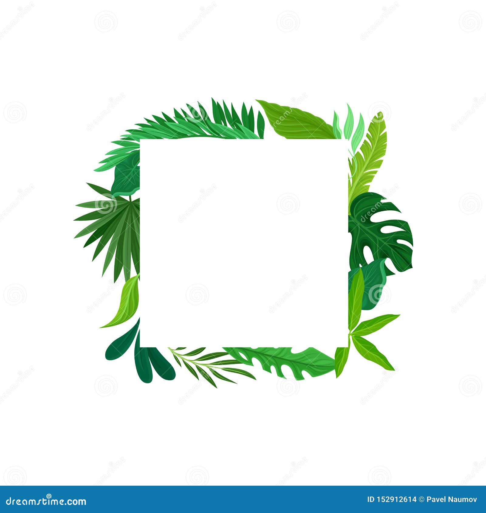 Square Frame of Leaves. Vector Illustration on White Background. Stock ...