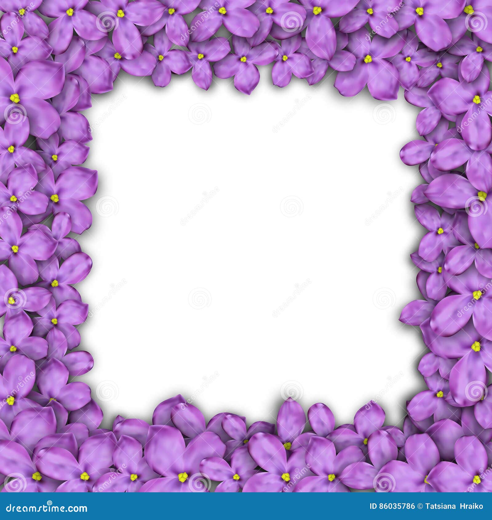 Square Frame of Lilac Flowers. Purple Flowers.Vector Illustration Stock ...