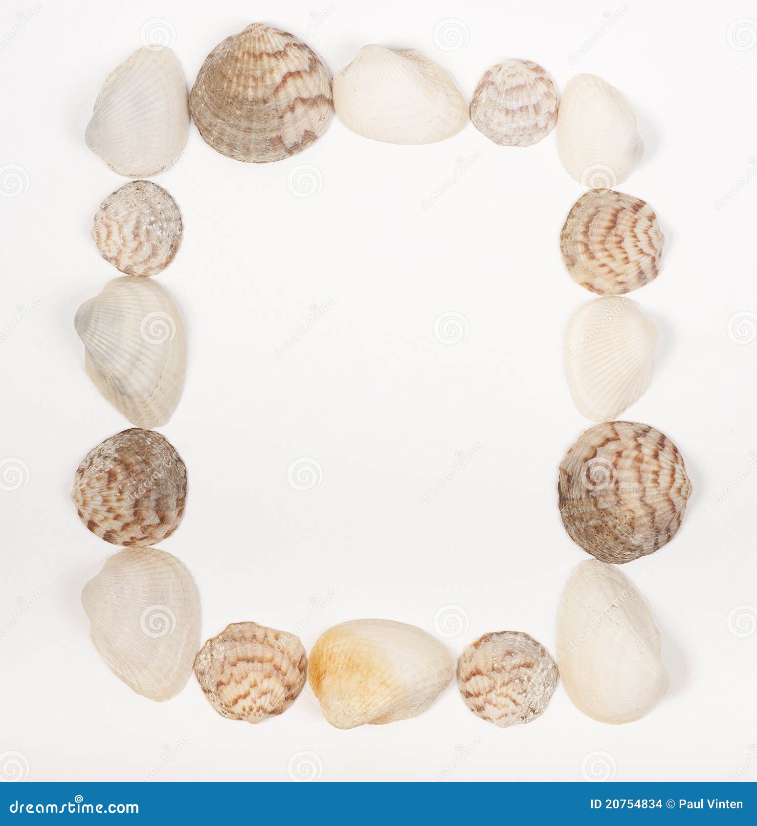 Square Frame Made from Sea Shells on White Stock Photo - Image of white ...