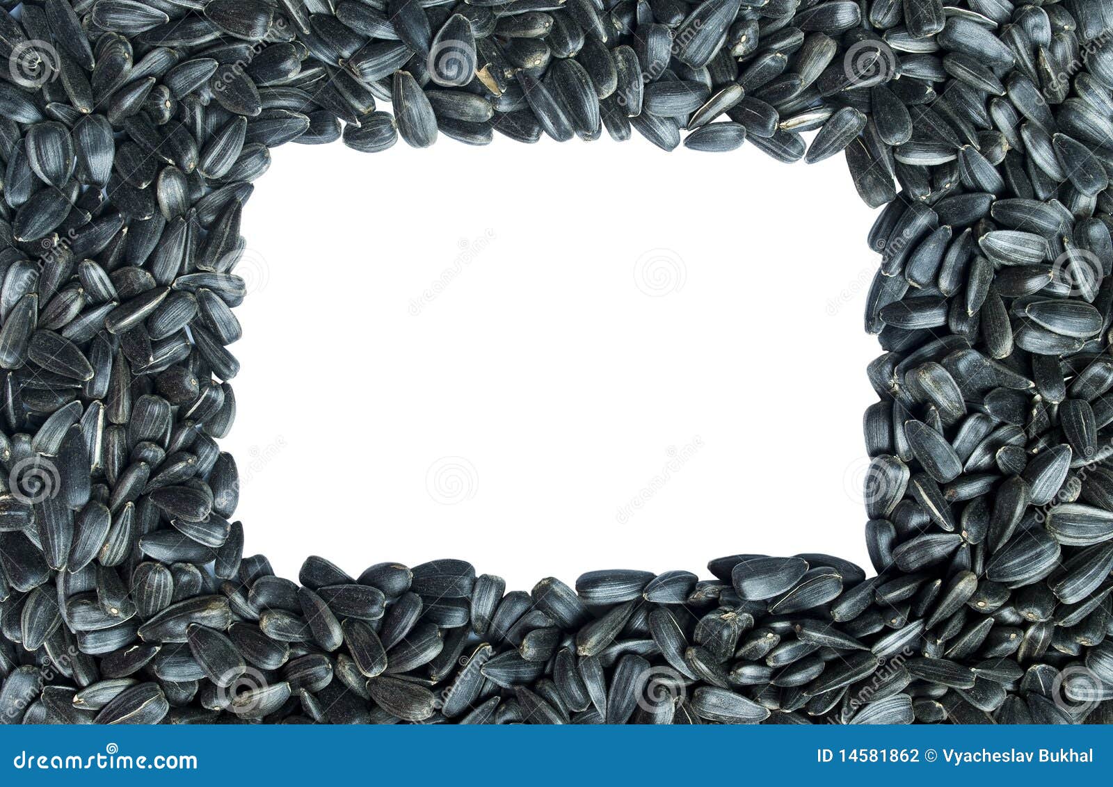 Square Frame Made of Sunflower Seeds. Isolated Stock Photo - Image of ...