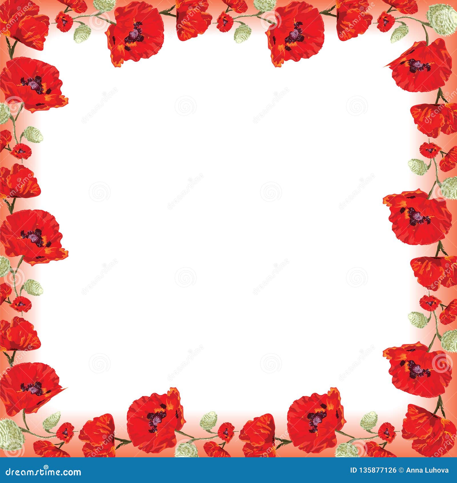 Square Frame with Red Poppies Stock Vector - Illustration of decoration ...