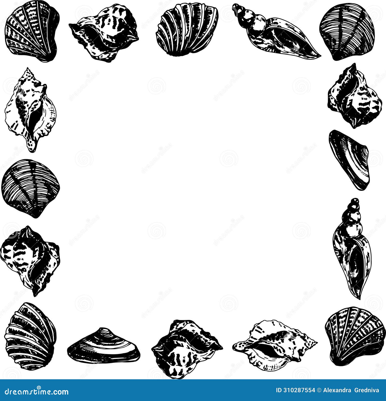 Square Frame with Shells Graphics Line Art. Marine Frame with Shells ...
