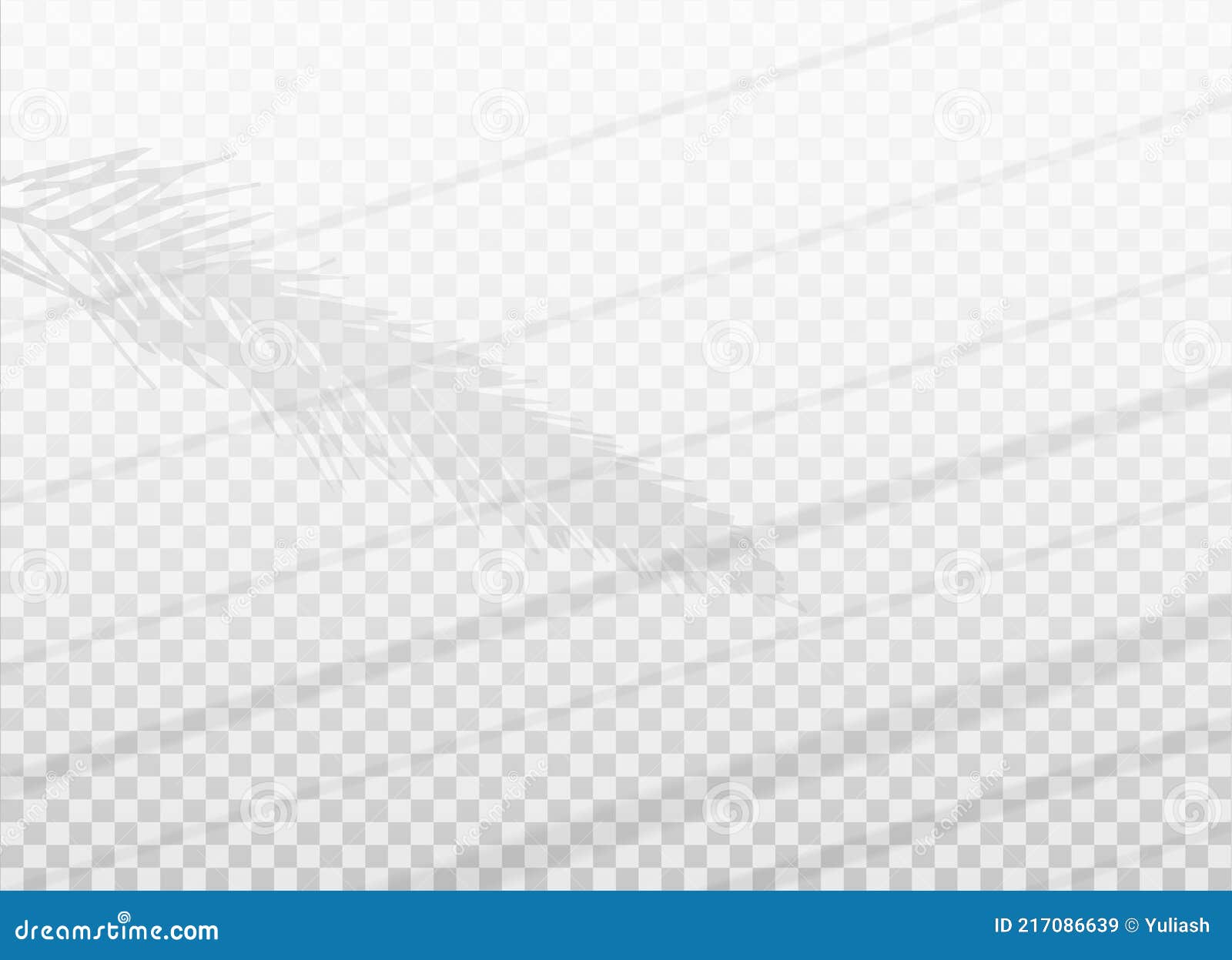 Shadow Stripes from the Window and a Palm Leaf. Vector Realistic ...