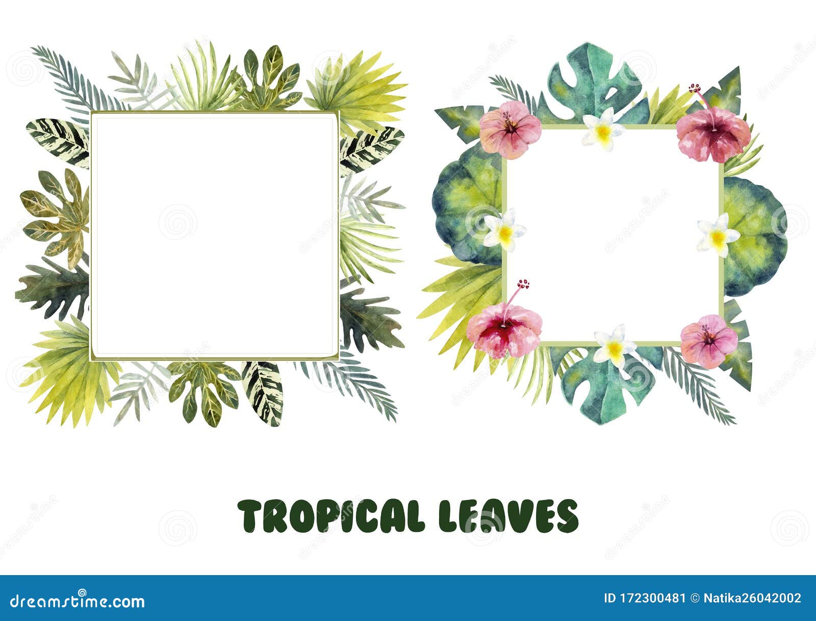 2 Square Frames with Tropical Plants on the Outer Edge. Tropical Leaves ...