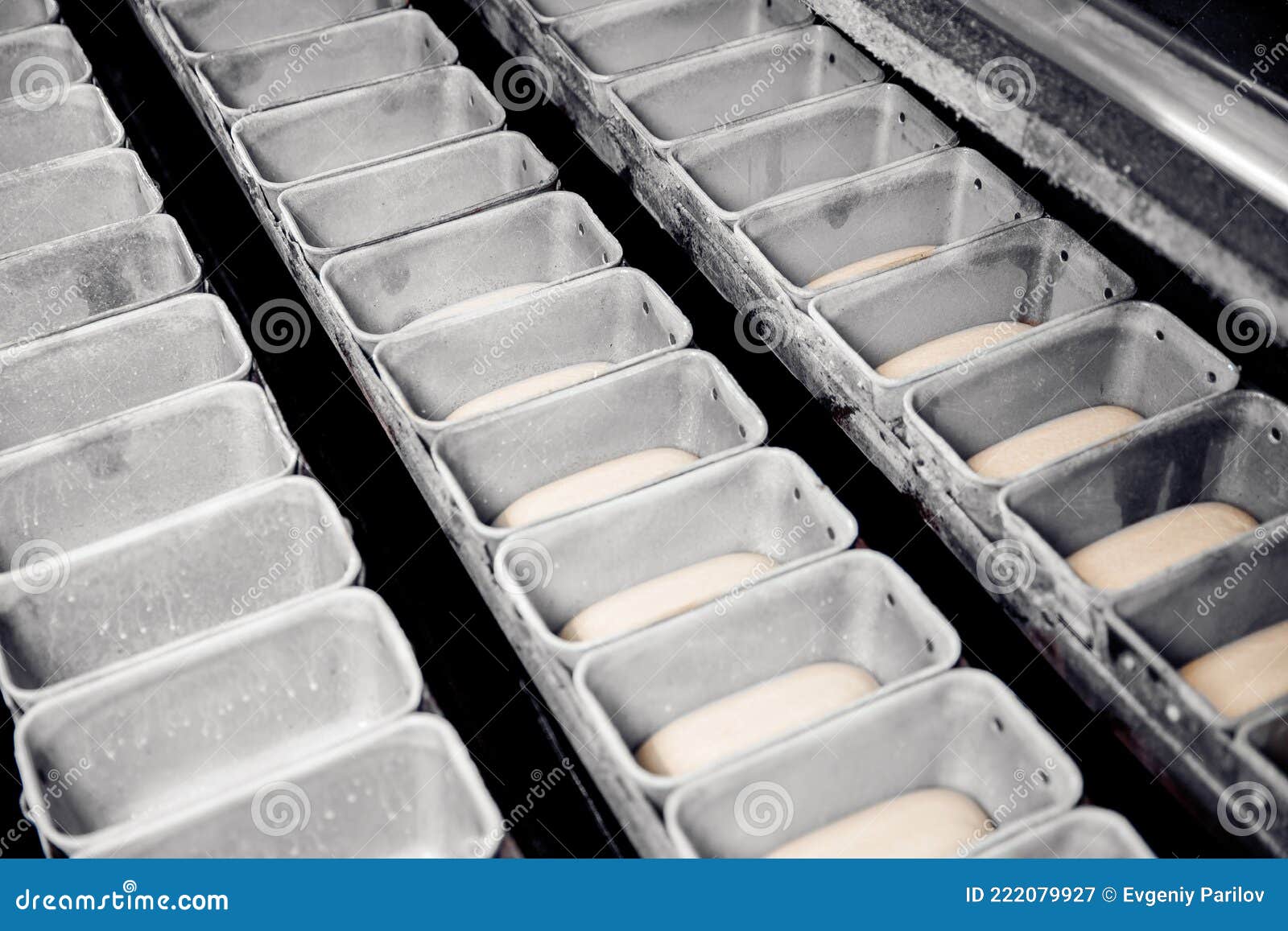 Square Fresh Dough Bread on Conveyor Mold Automatic Baking Production ...