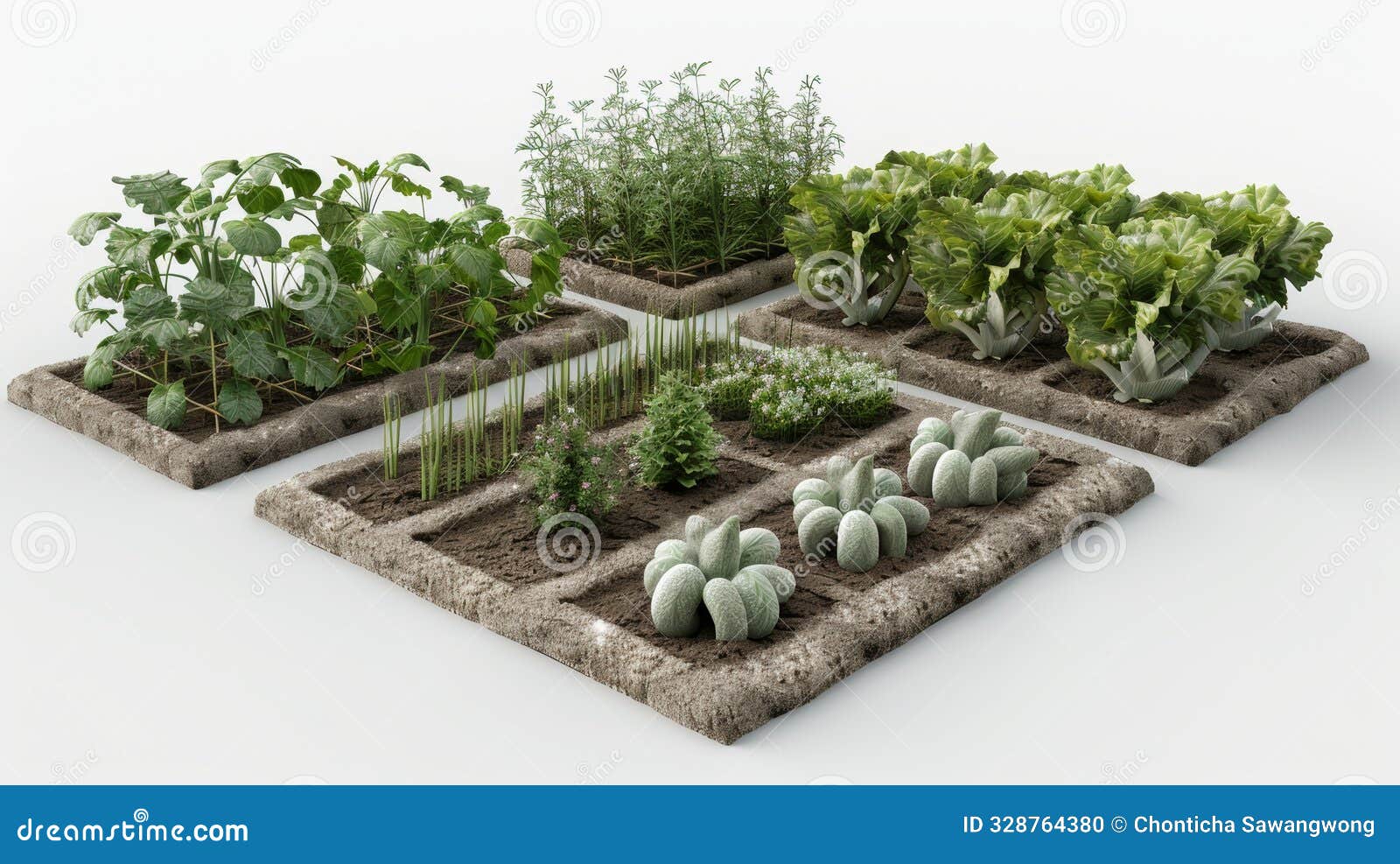 A Square Garden Plot With Four Different Types Of Plants Growing In ...