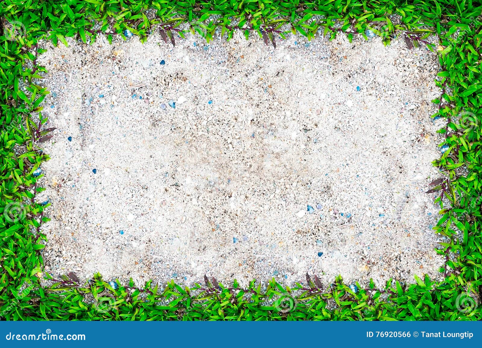 Square Grass Frame with Copy-space on Sand Background Stock Photo ...
