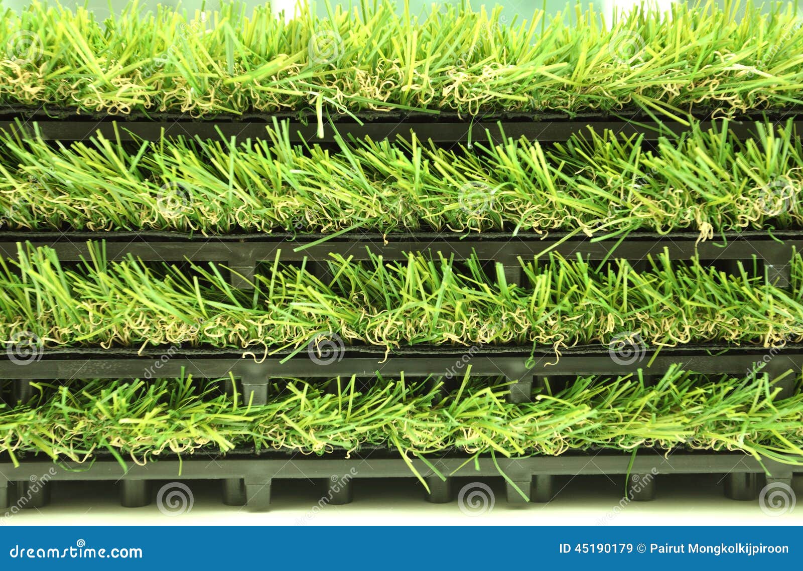 Square of Green Grass Field Stock Image - Image of meadow, harmony ...