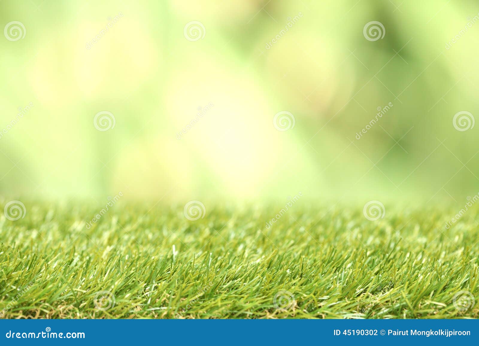 Square of Green Grass Field Stock Photo - Image of isolated, lively ...