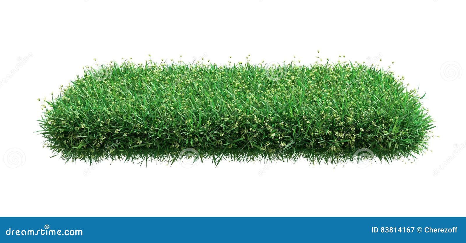Square of Green Grass Field Over White Background Stock Illustration ...