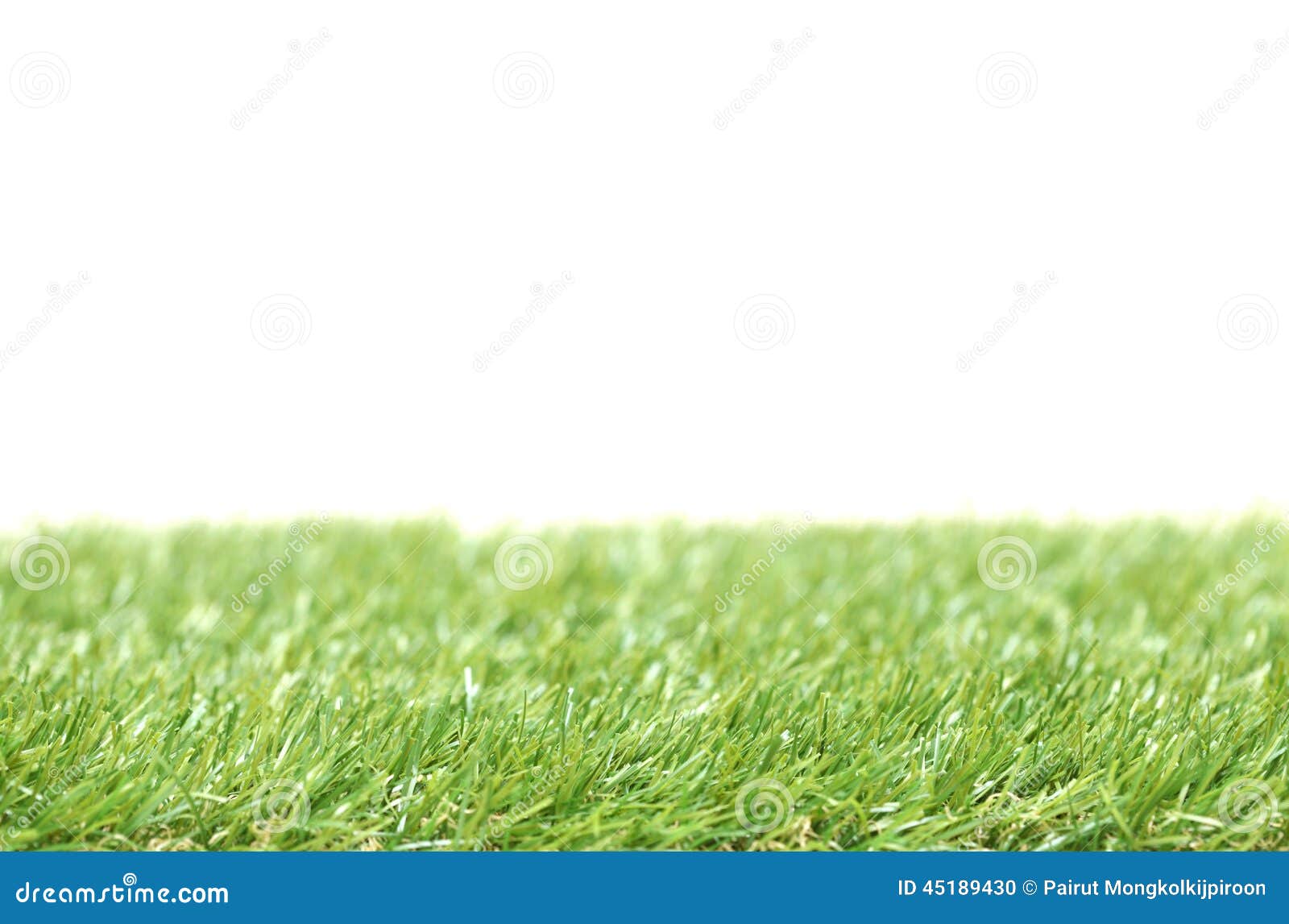 Square of Green Grass Field Stock Photo - Image of ecology, light: 45189430