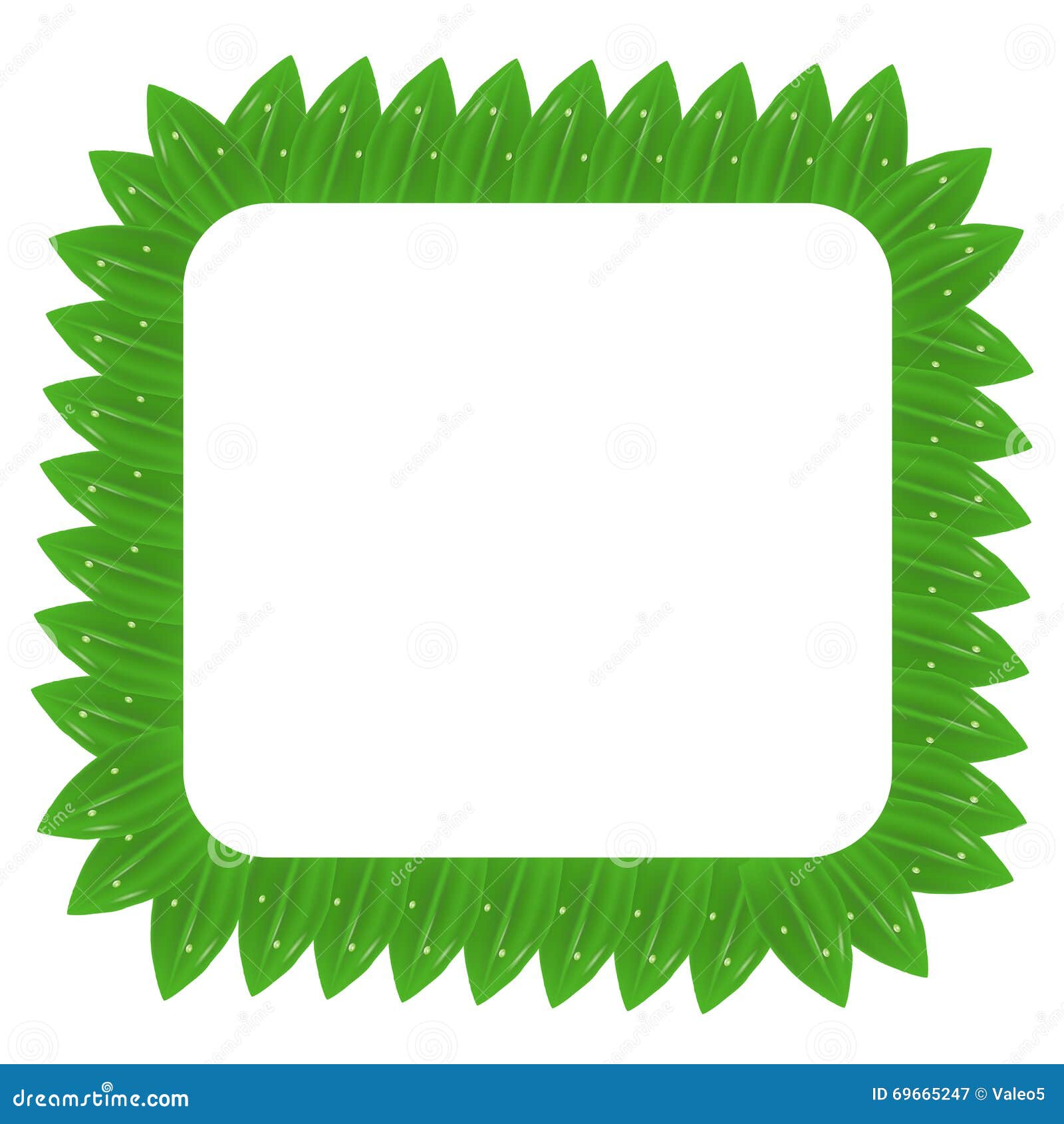 Square Green Leaves Frame stock vector. Illustration of decorative ...