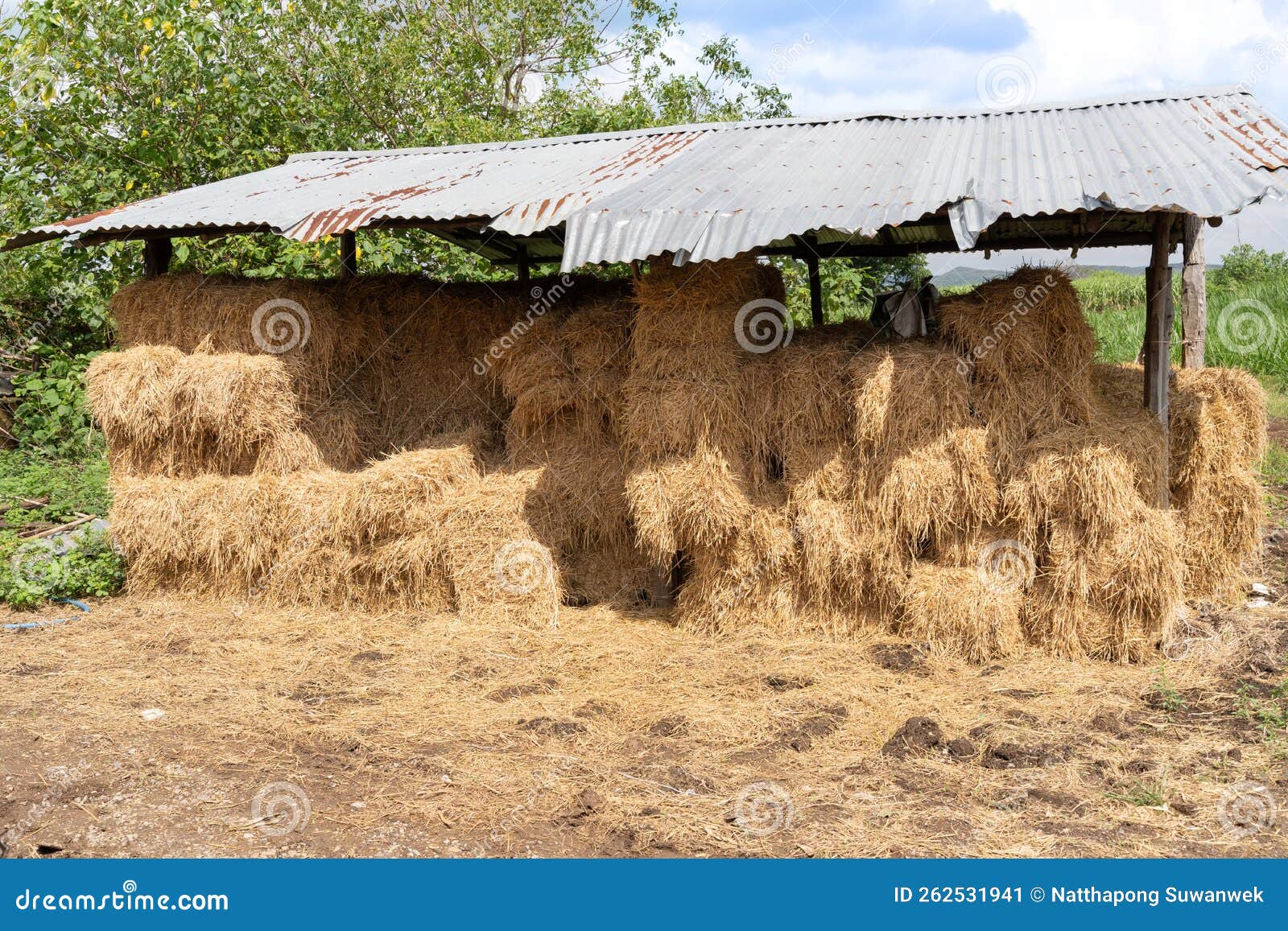 Square Hay Bale Hay Stack in Small Hay Barn Stock Image - Image of ...
