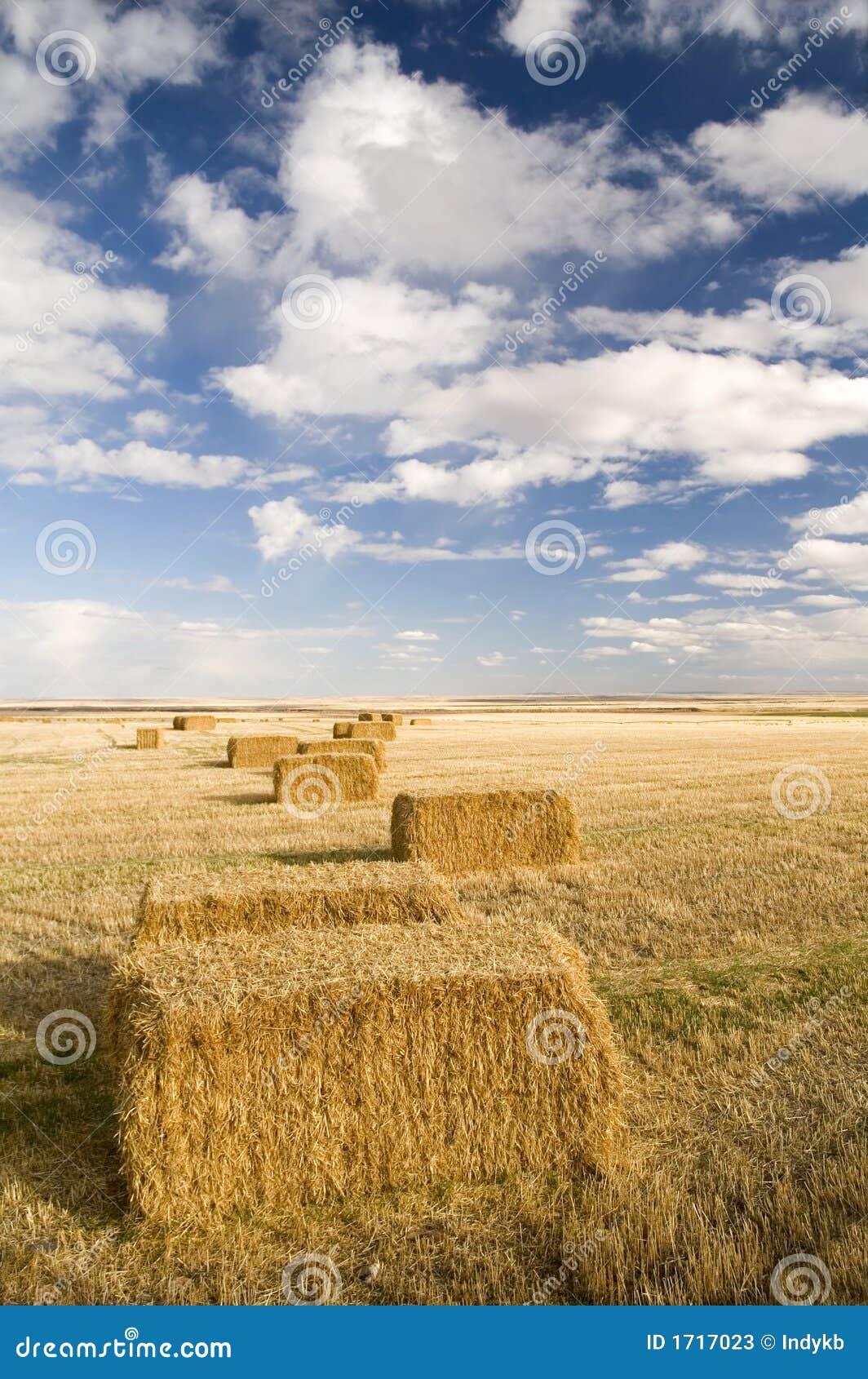 Square hay bales stock image. Image of crop, farming, prairie - 1717023