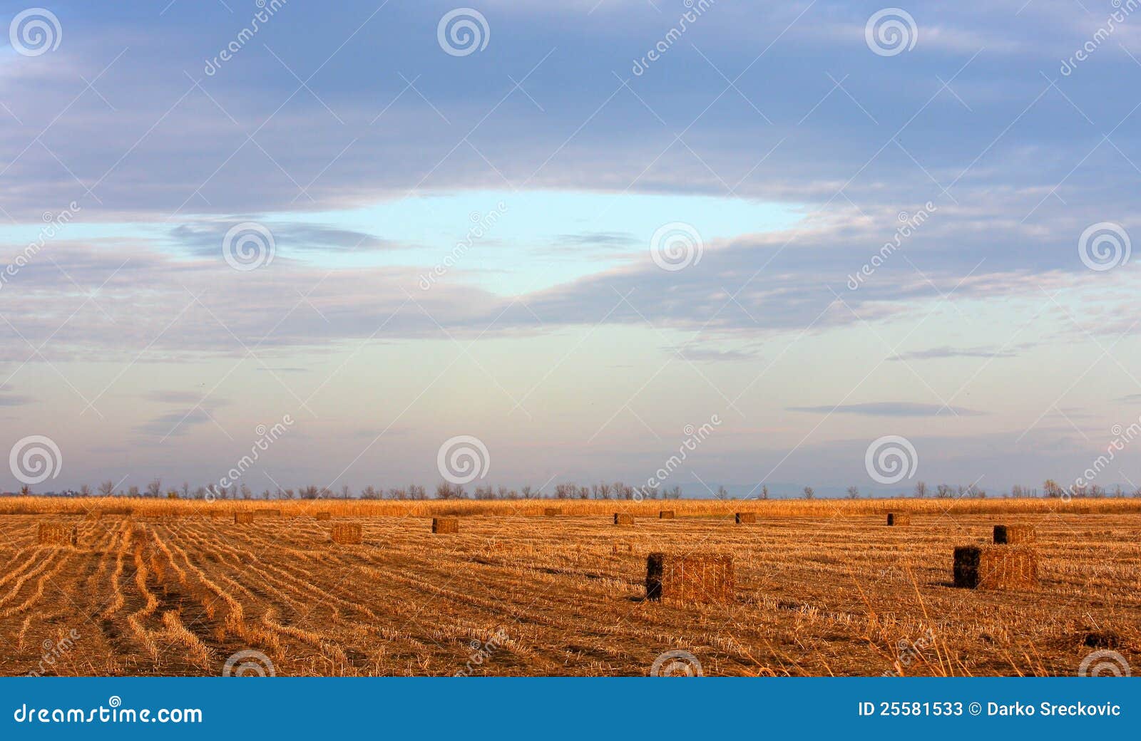 Square hay bales stock image. Image of rural, country - 25581533