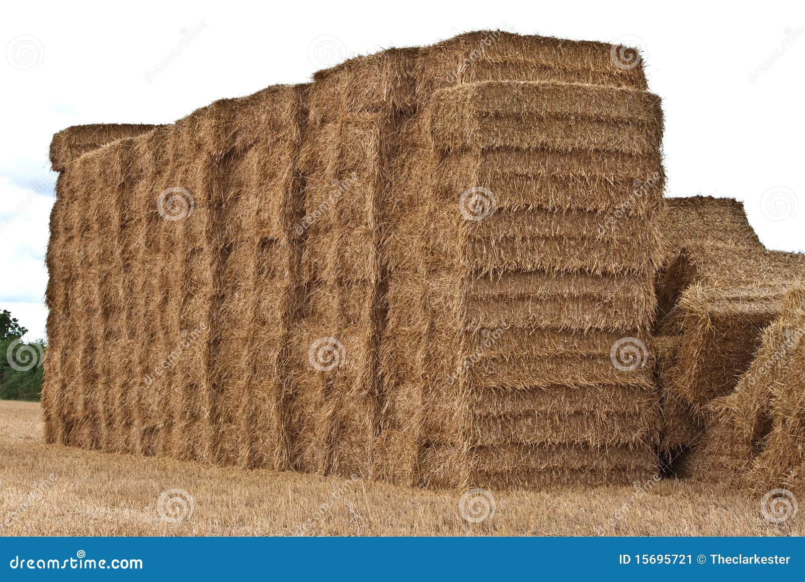 Square Hay Bales Stacked Up Stock Image - Image of feed, farming: 15695721