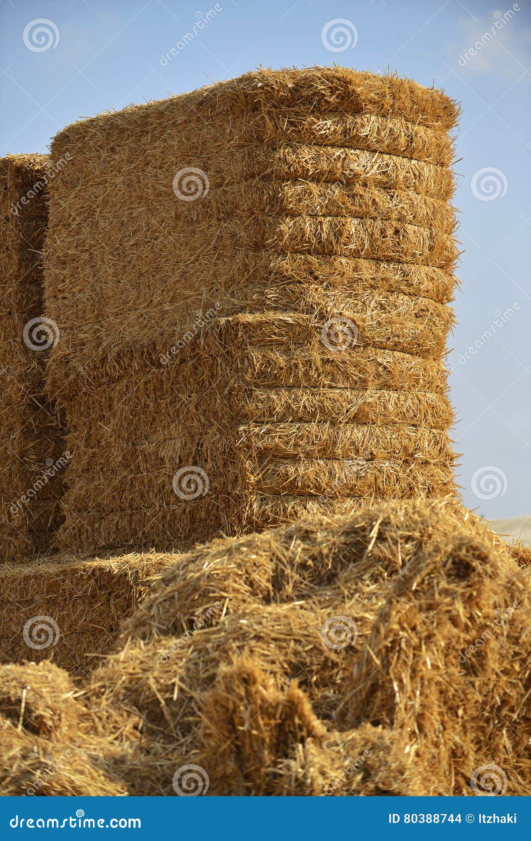 Square hay bales stock photo. Image of beautiful, outdoors - 80388744