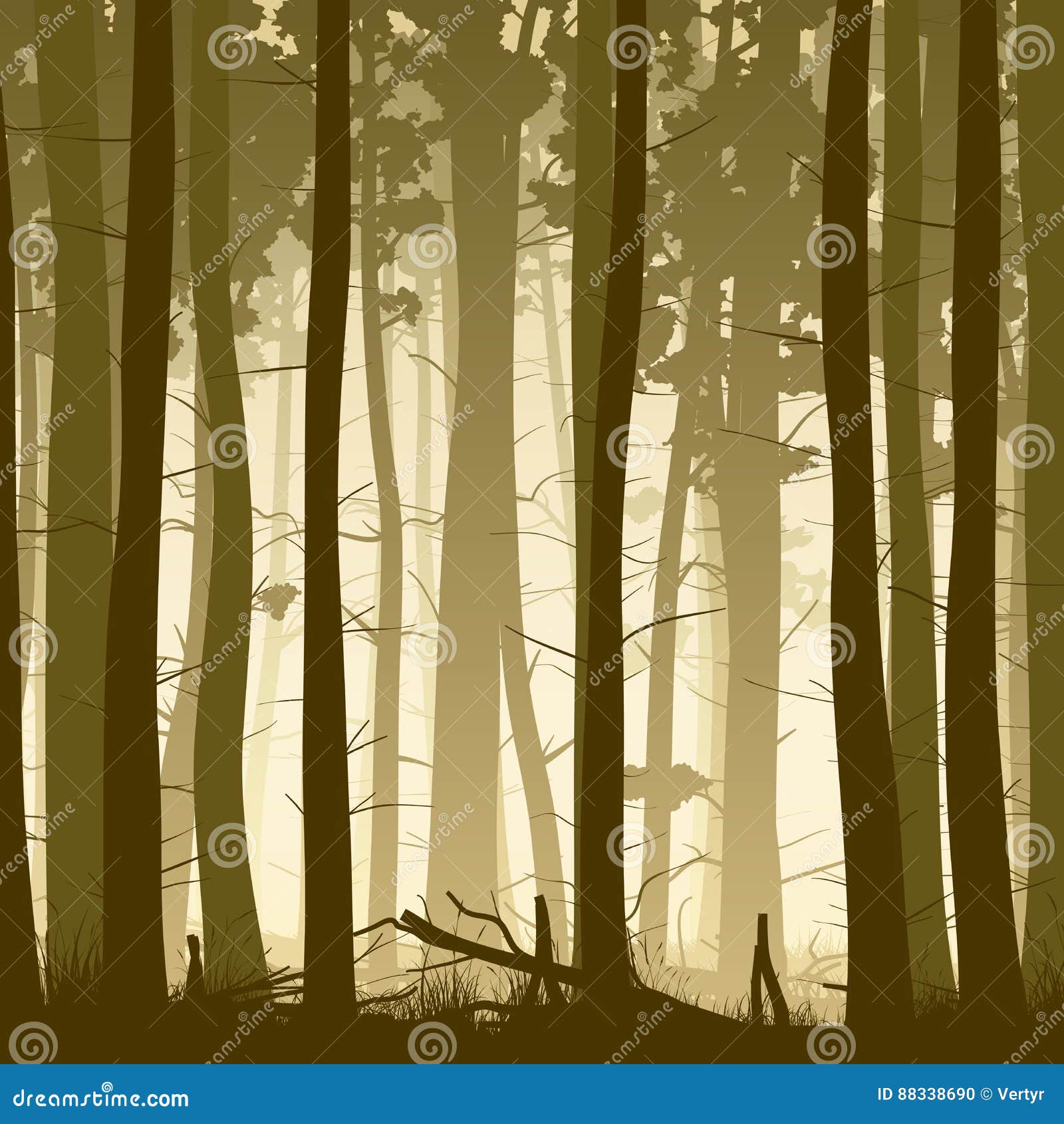 Square Illustration Of Misty Coniferous Forest From Inside Stock