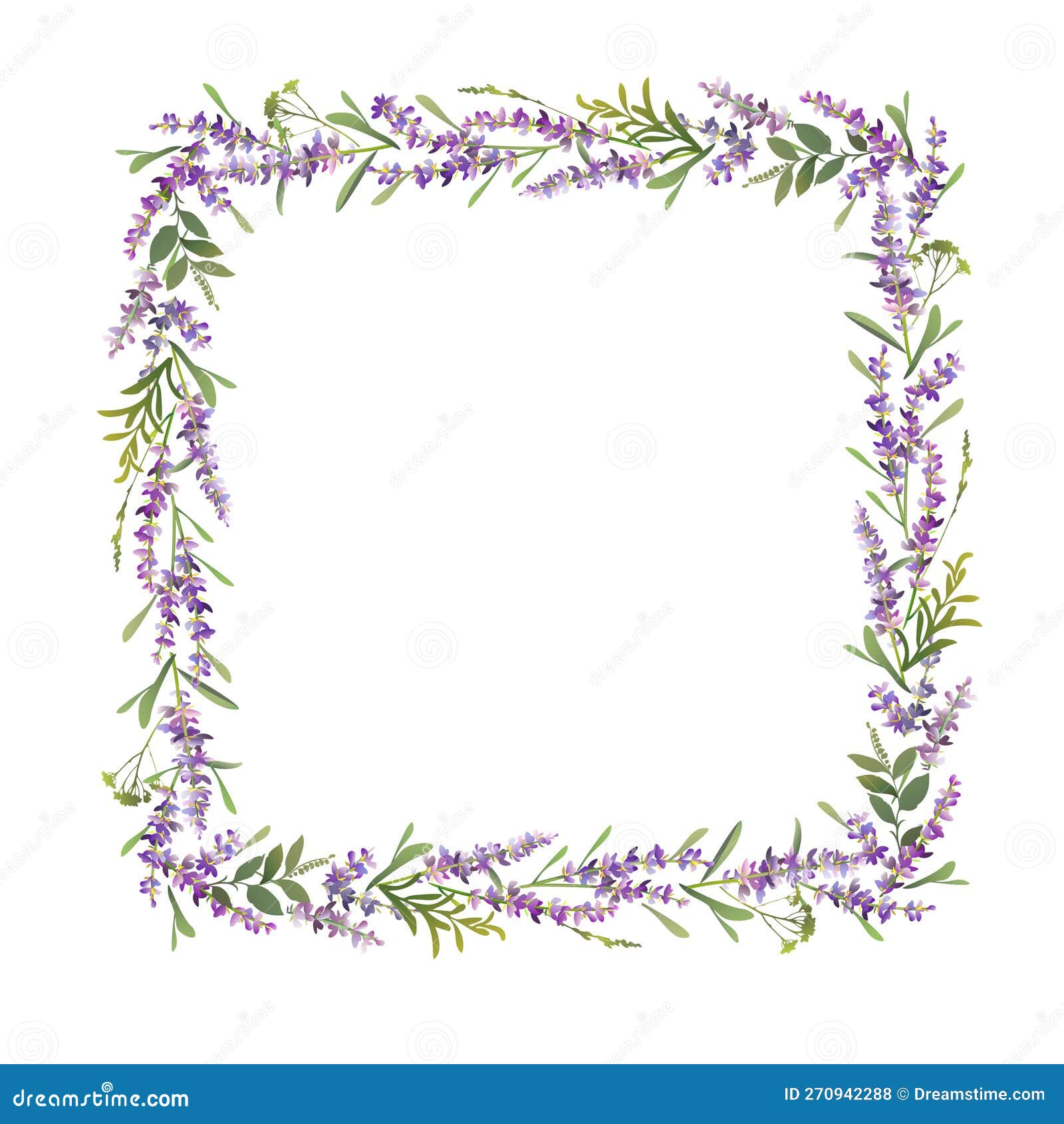 Square Lavender Frame Design. Vector Colorful Illustration Stock Vector ...
