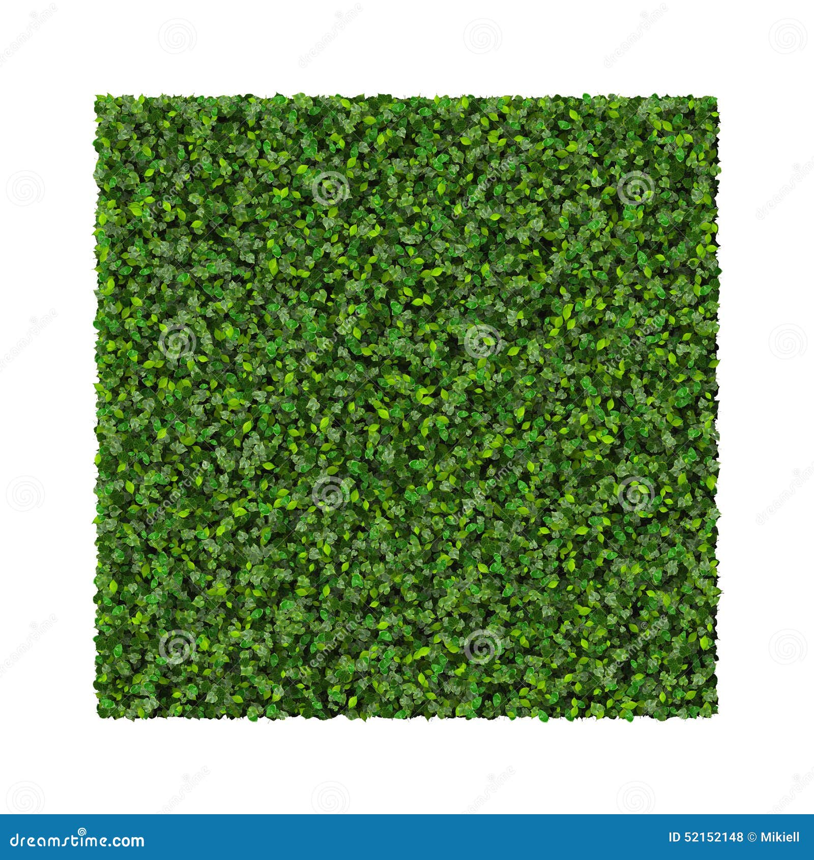 Square Made from Green Leaves Isolated on White Background. 3D Render ...