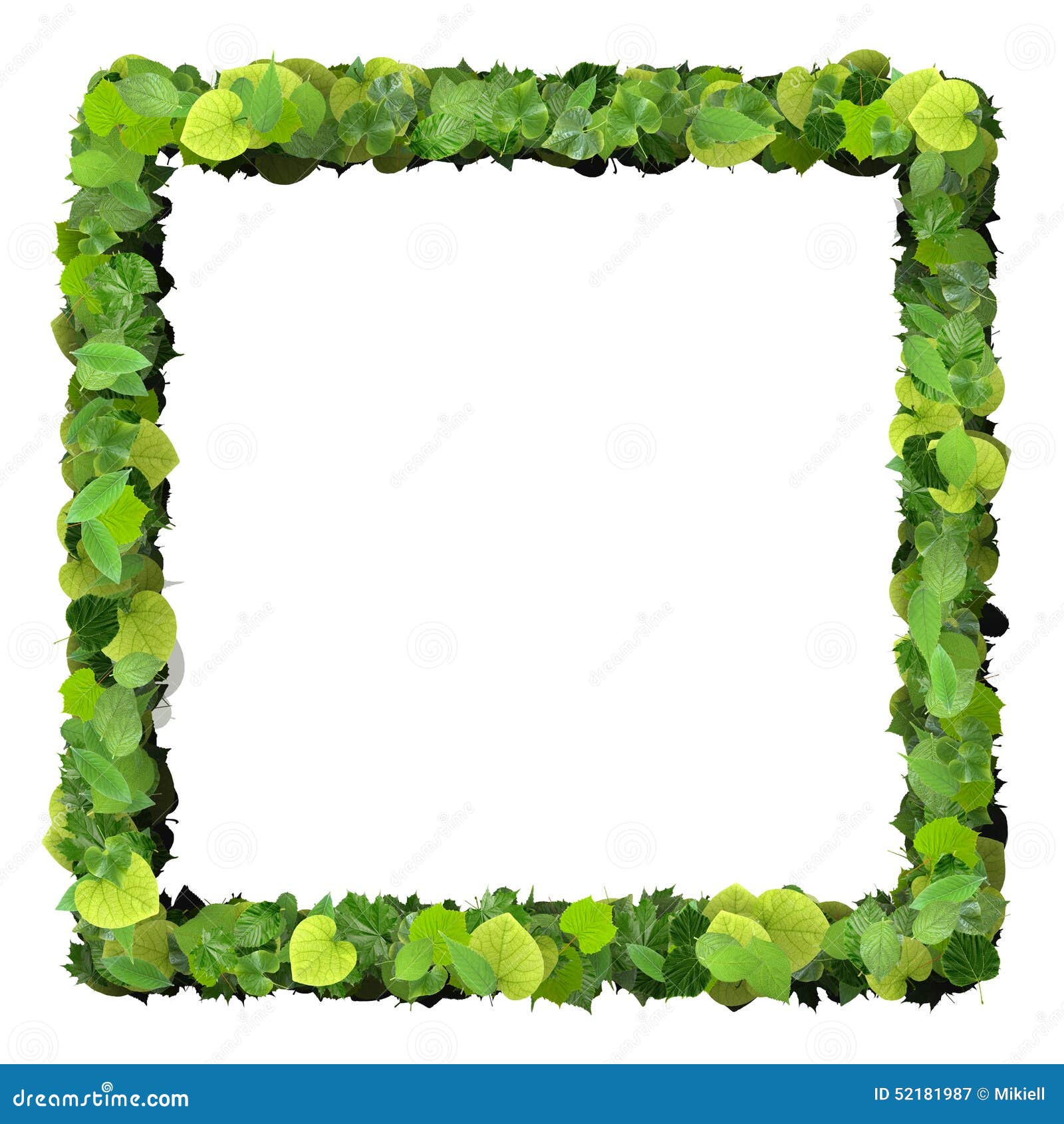 Square Made from Green Leaves Isolated on White Background. 3D Render ...