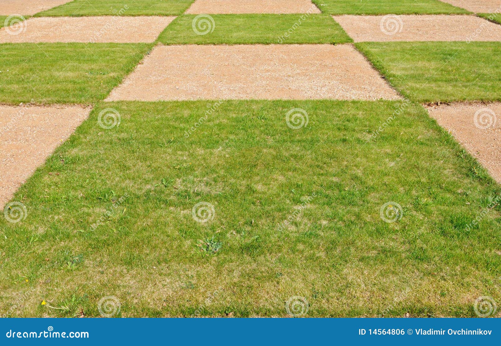 Square Pattern A Green Grass Stock Photo - Image of lawn, color: 14564806