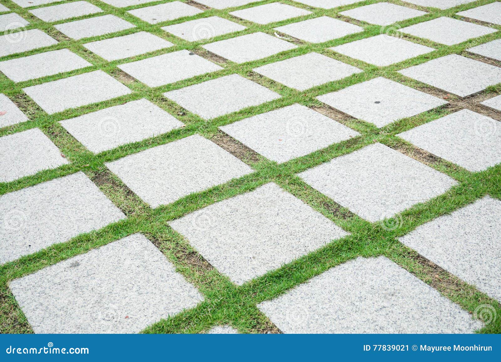 Square pavement stock image. Image of grass, material - 77839021