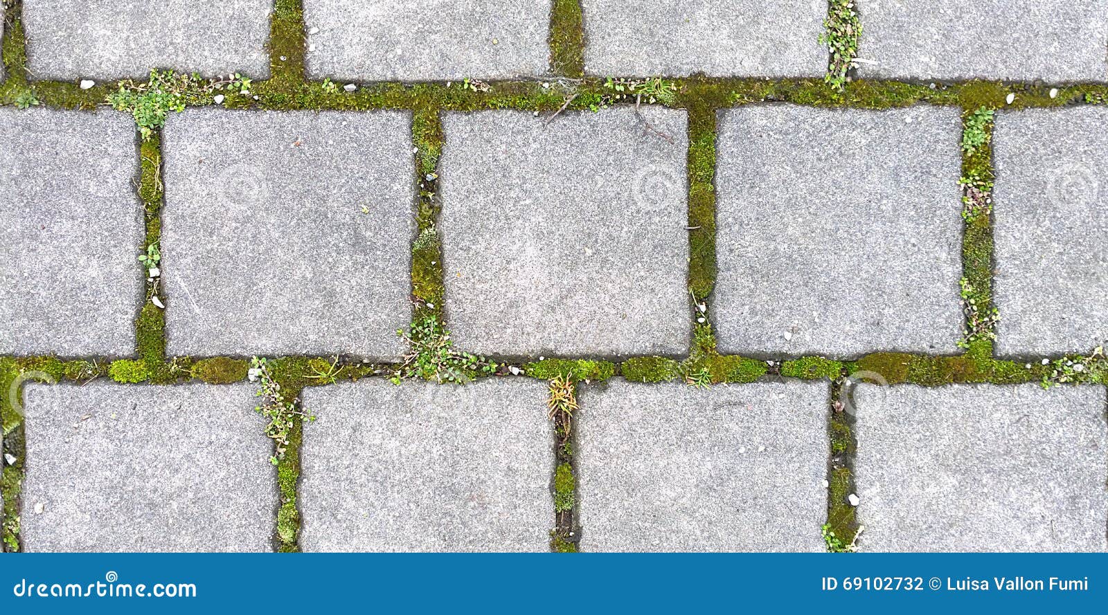 Square Paving with Grass, HD Seamless Texture Stock Photo - Image of ...