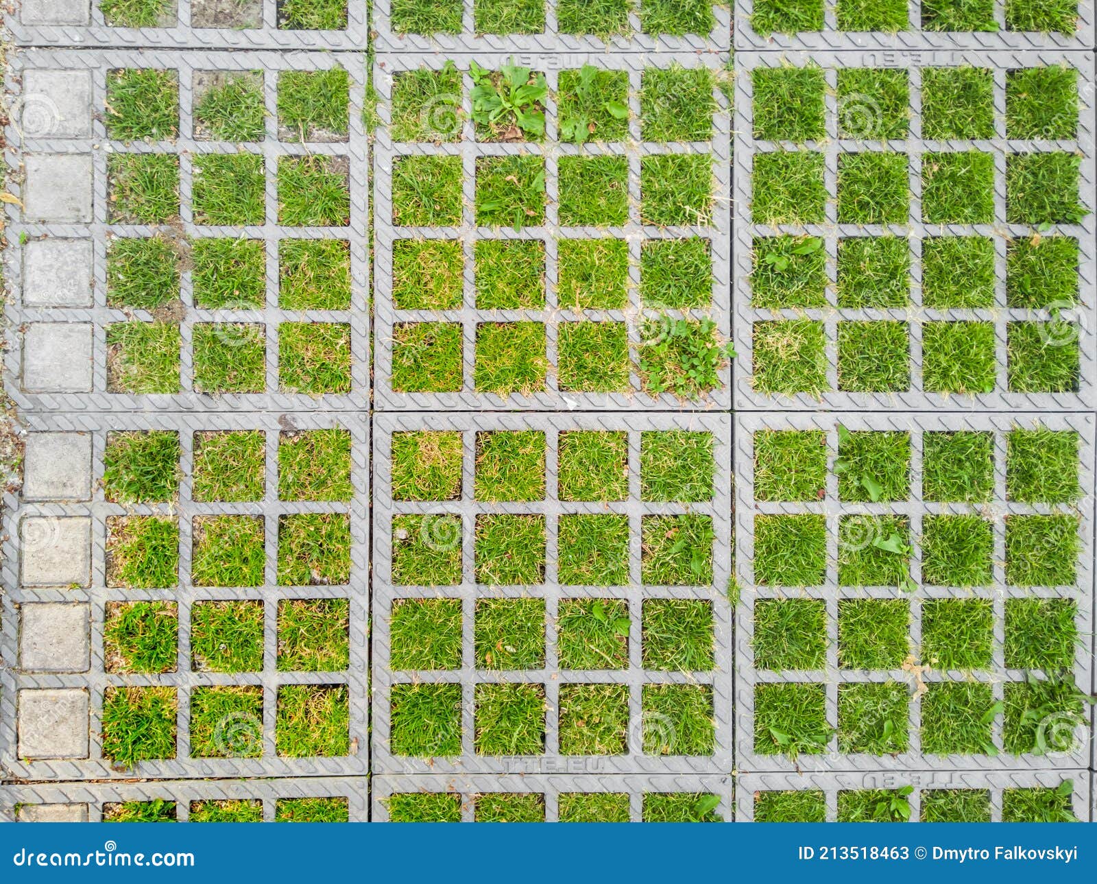 Square Paving Slabs with Holes for the Lawn Stock Image - Image of ...