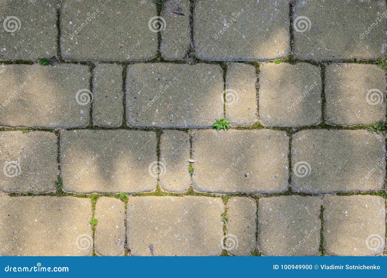 Square Paving Stone Texture. Stock Photo - Image of cobble, pavement ...