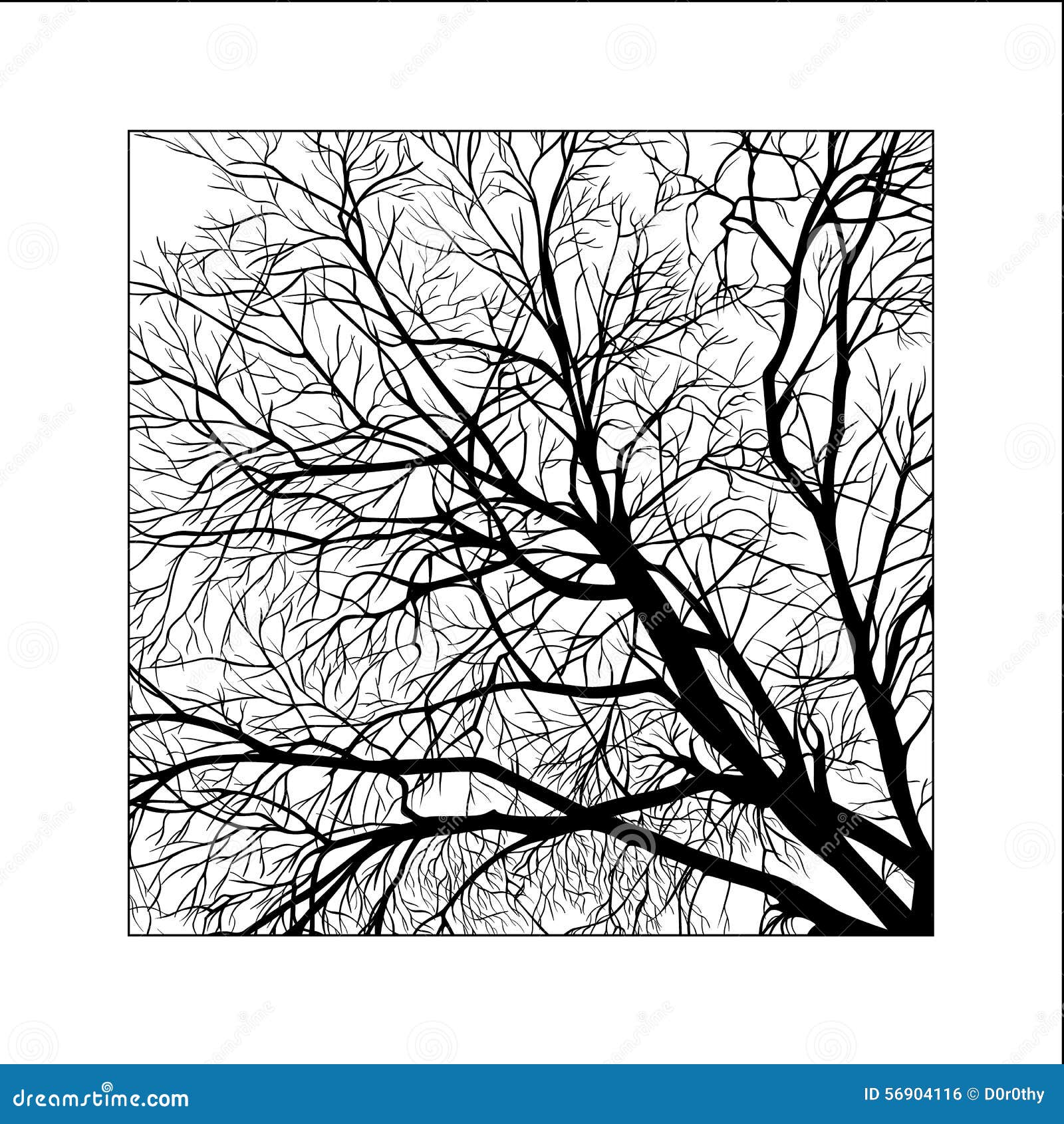 Square picture stock vector. Illustration of beauty, outline - 56904116