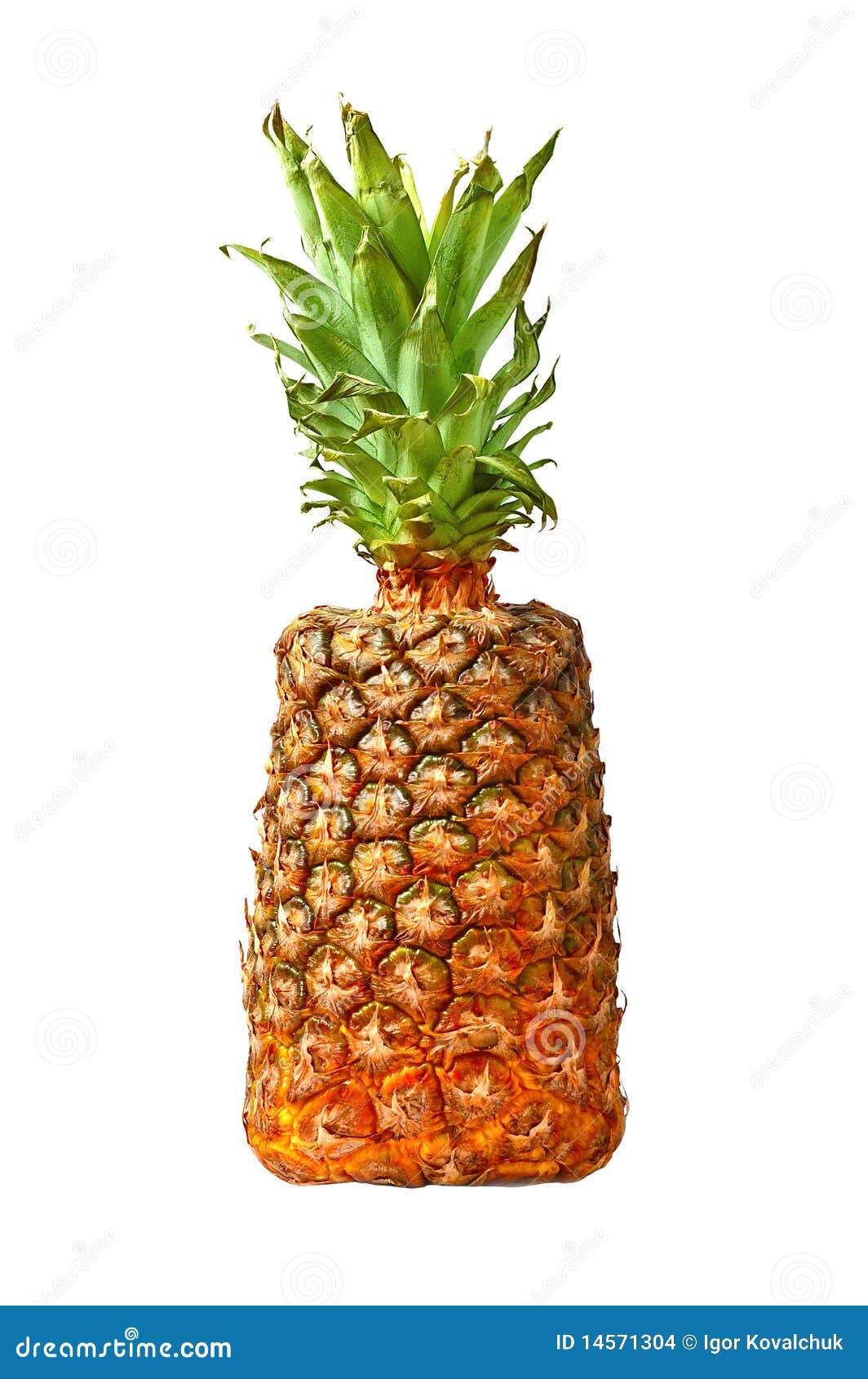 Square pineapple stock photo. Image of juicy, gourmet - 14571304