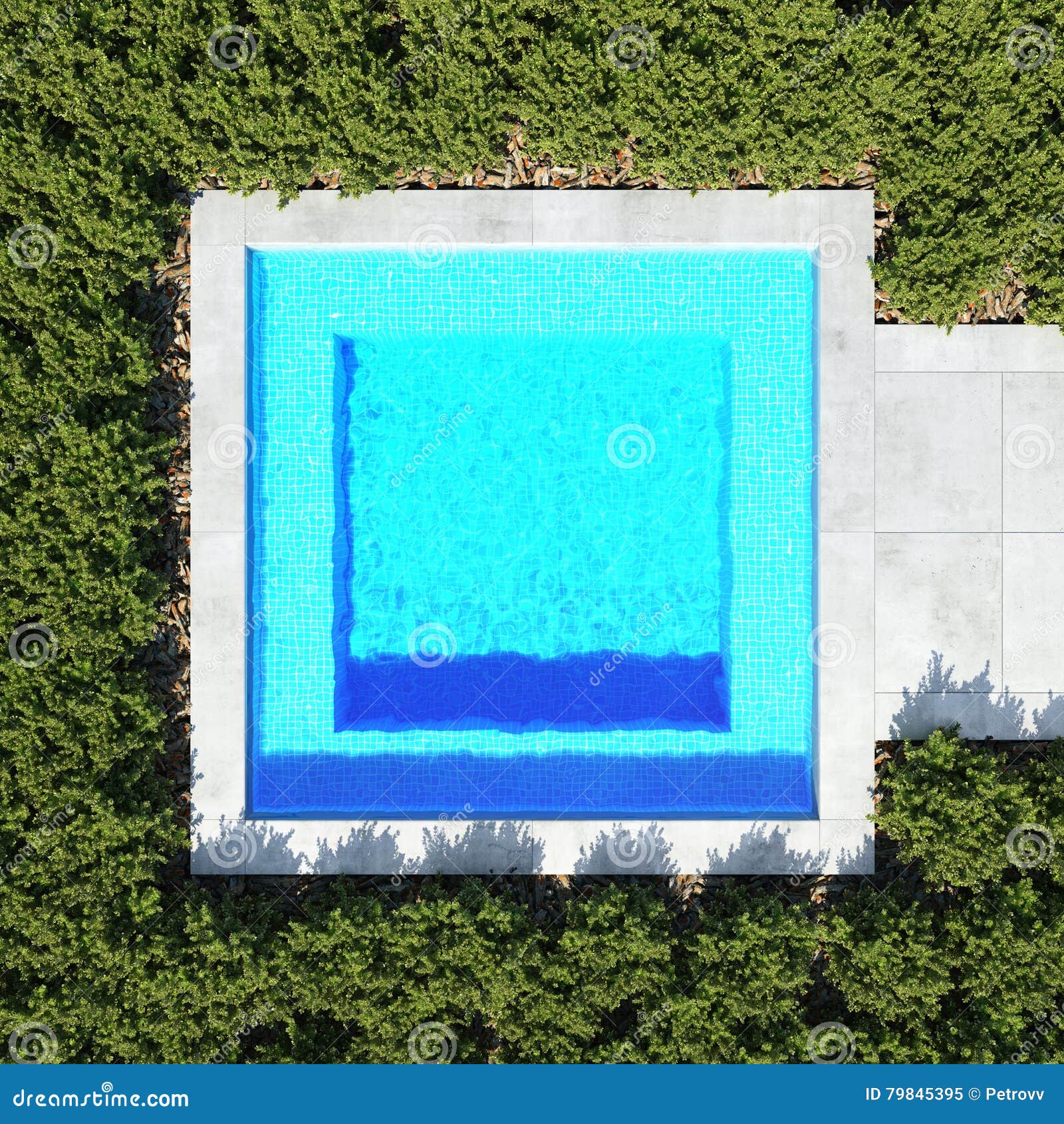 Square Pool. Top View 3d Rendering Stock Illustration - Illustration of ...
