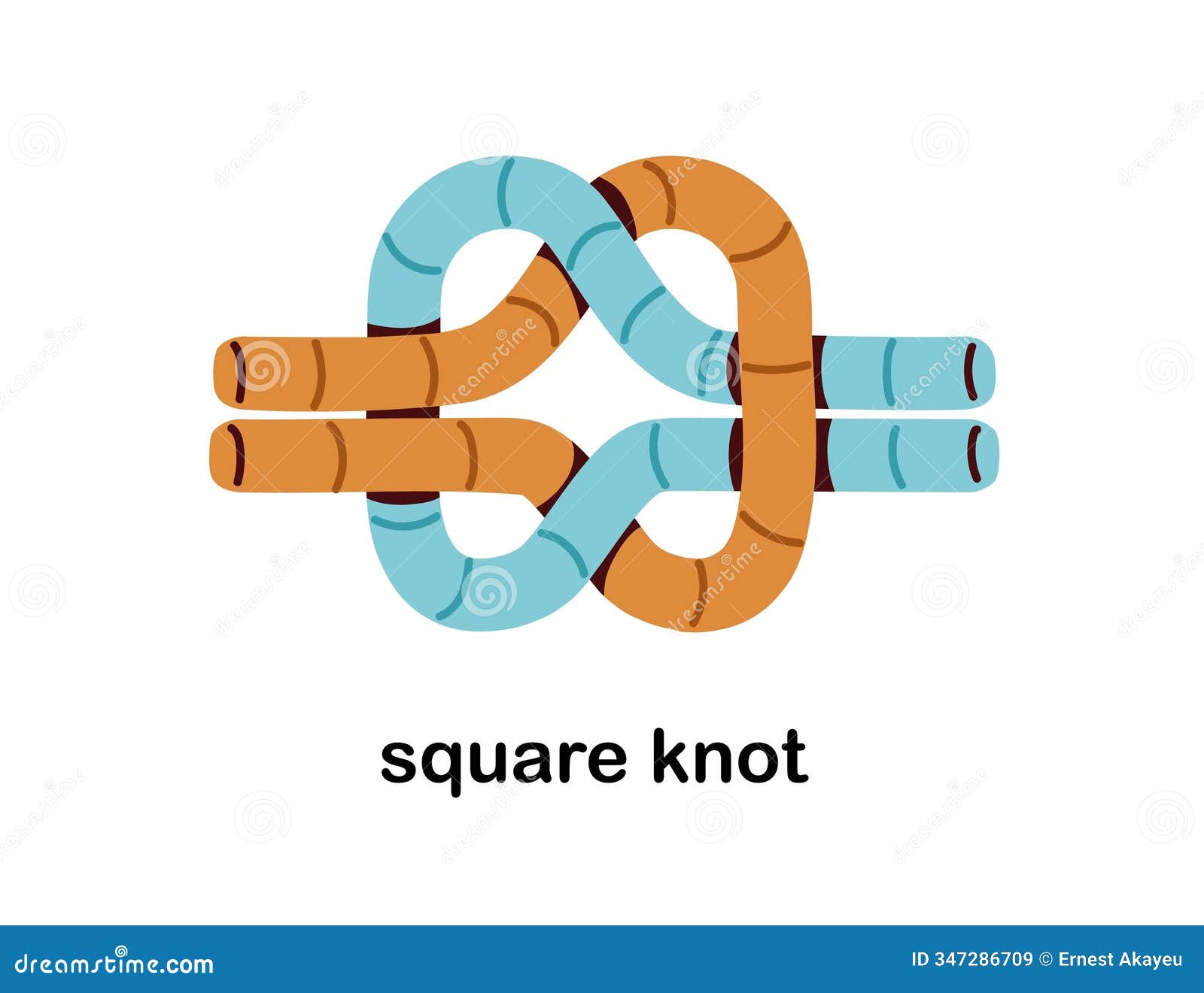 Square Reef Knot Tying Two Ropes. Strong Double Binding, Intertwined ...