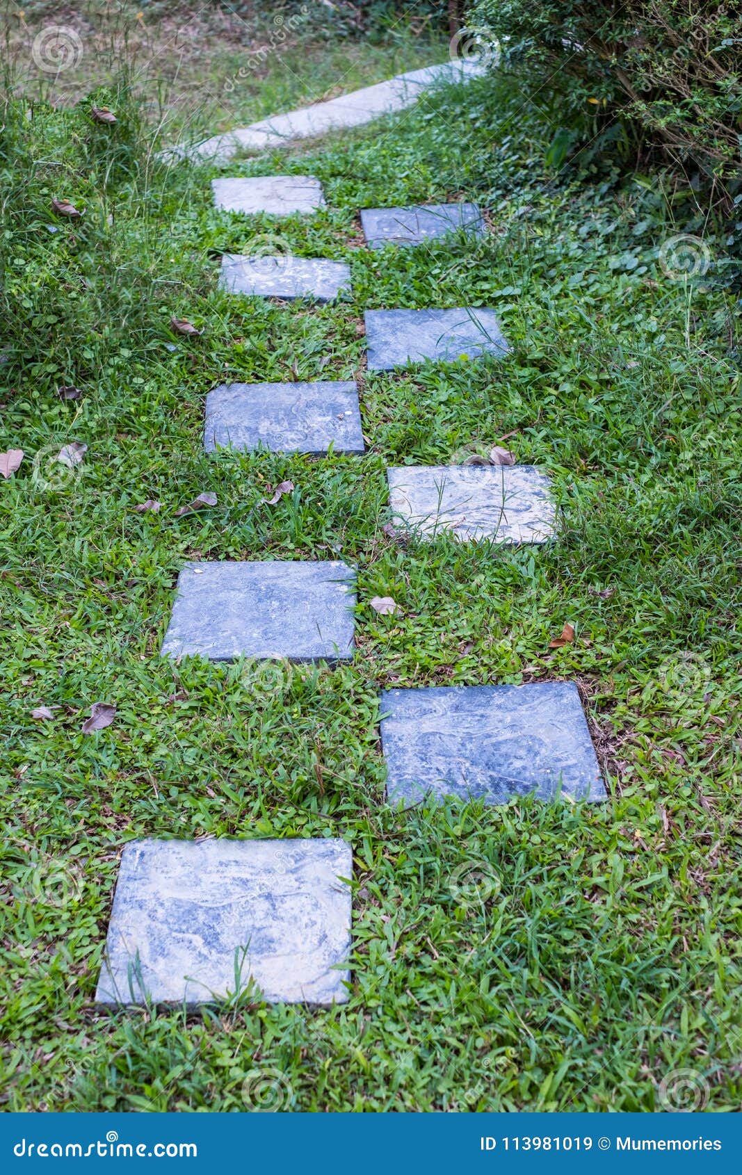 Square Rock Walkway Decoration in Lawn Stock Image - Image of backyard ...