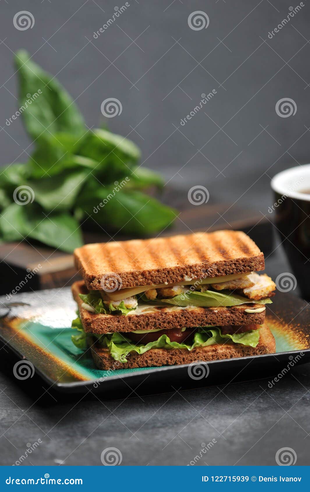 Square Sandwich with Chicken Breast Stock Image - Image of chicken ...