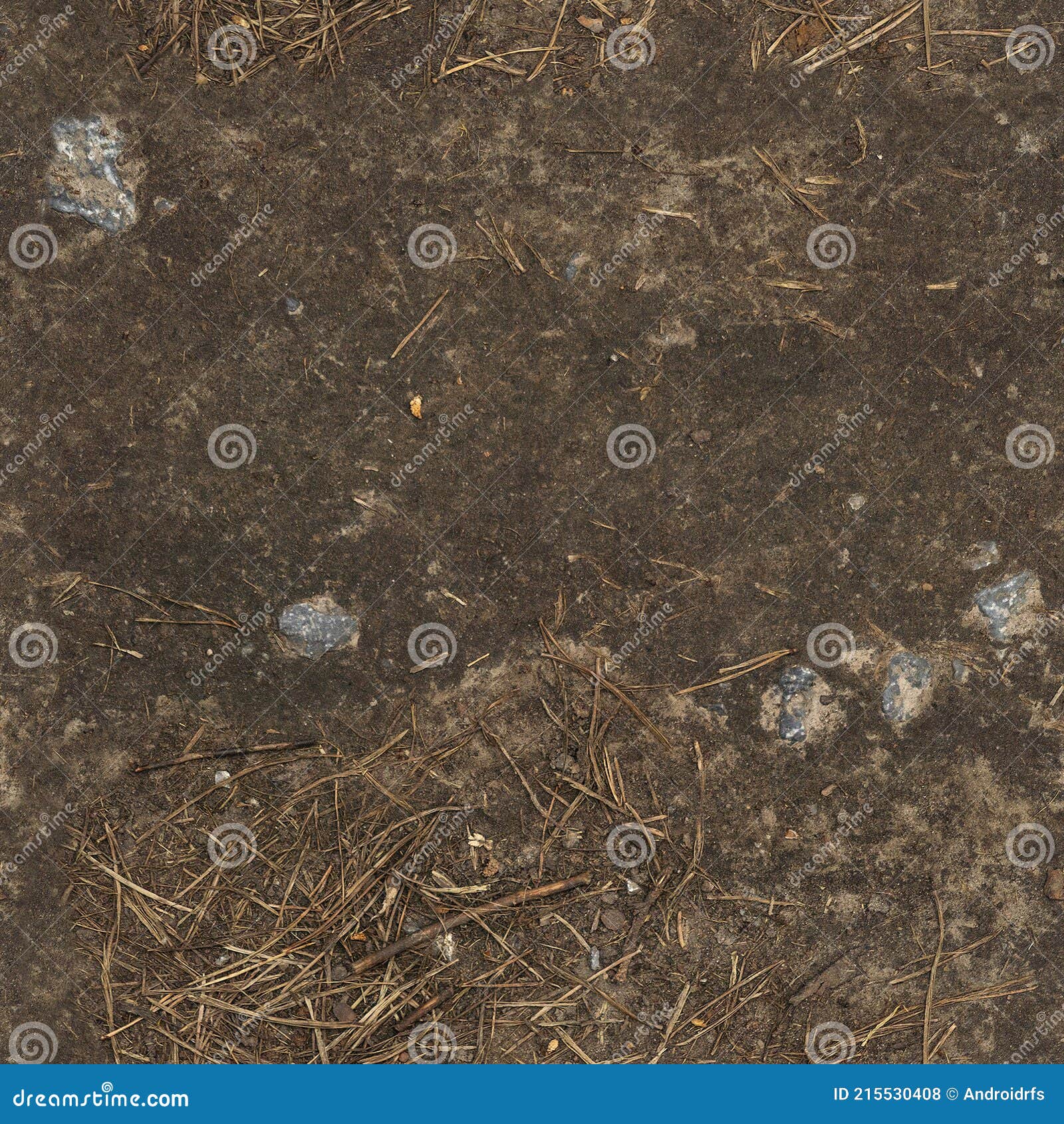Seamless Forest Dirty Ground Texture Stock Photo - Image of forest ...