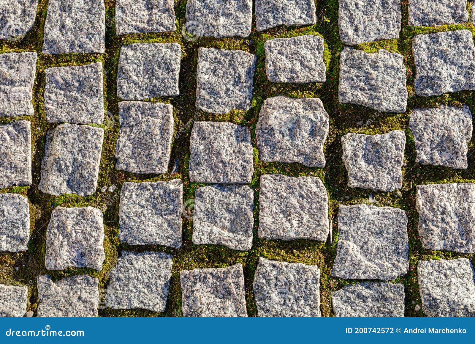 Square Seamless Paving Stones Texture Stock Photo - Image of ground ...