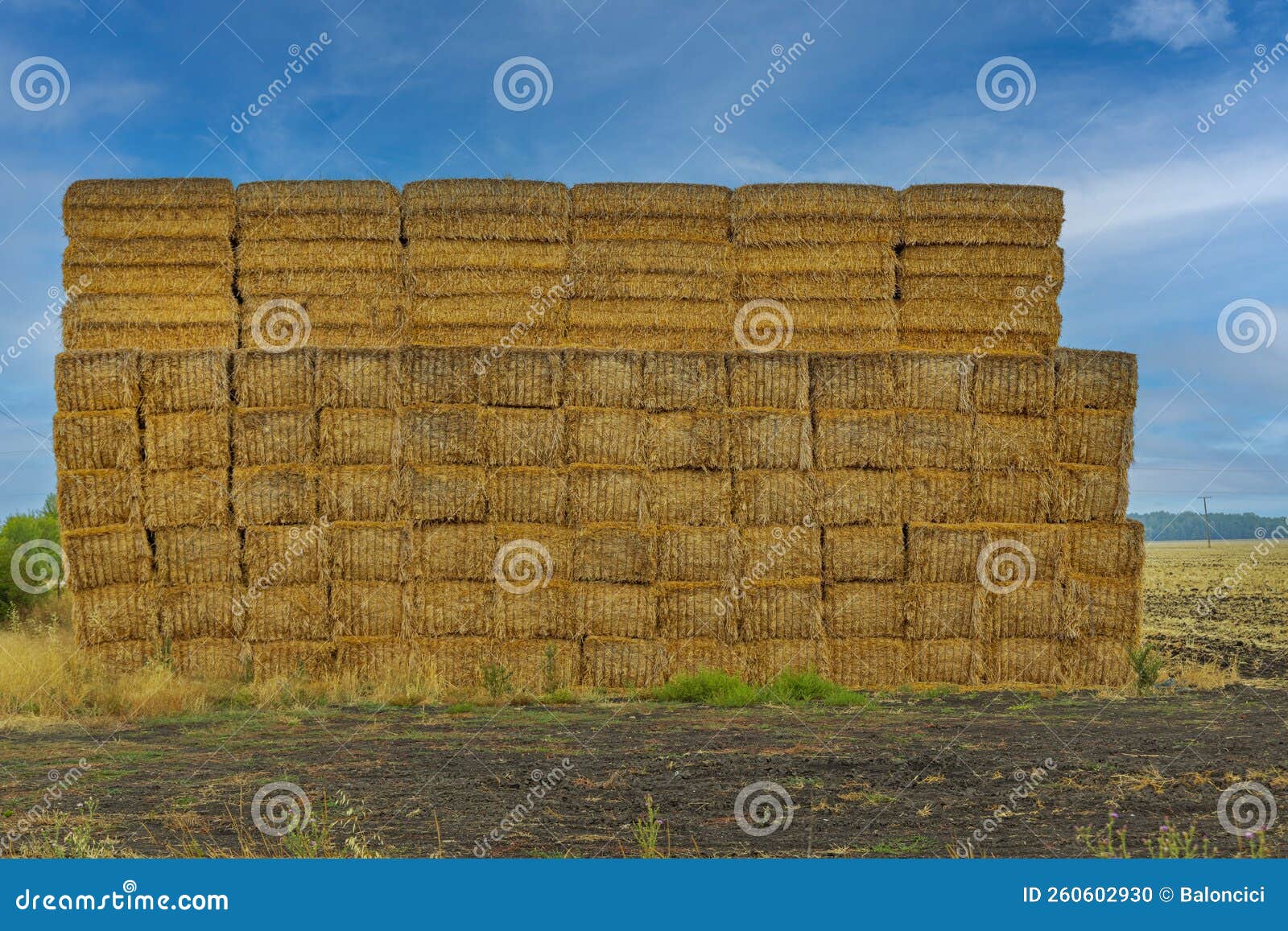Square Shape Bale Stack stock photo. Image of hungary - 260602930