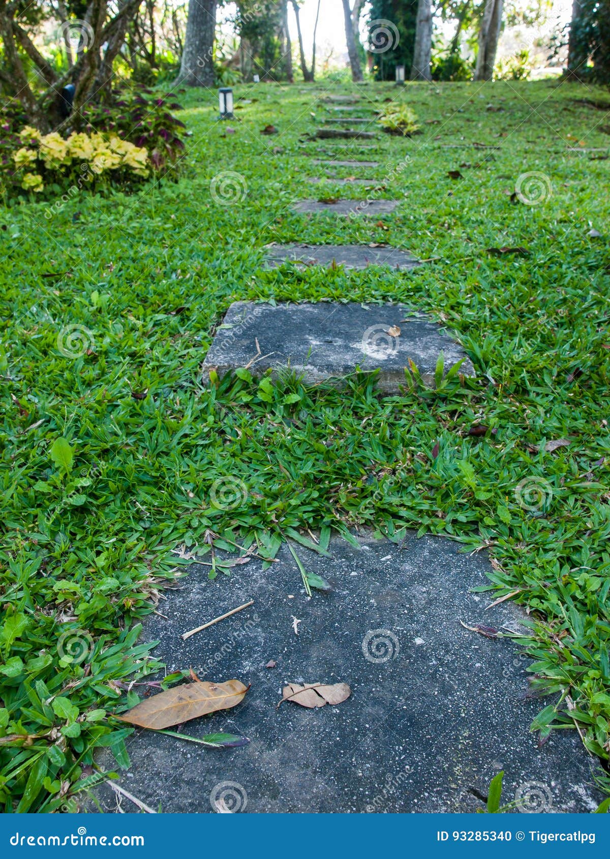 Square Shape Concrete Walkway Stock Photo - Image of route, floor: 93285340