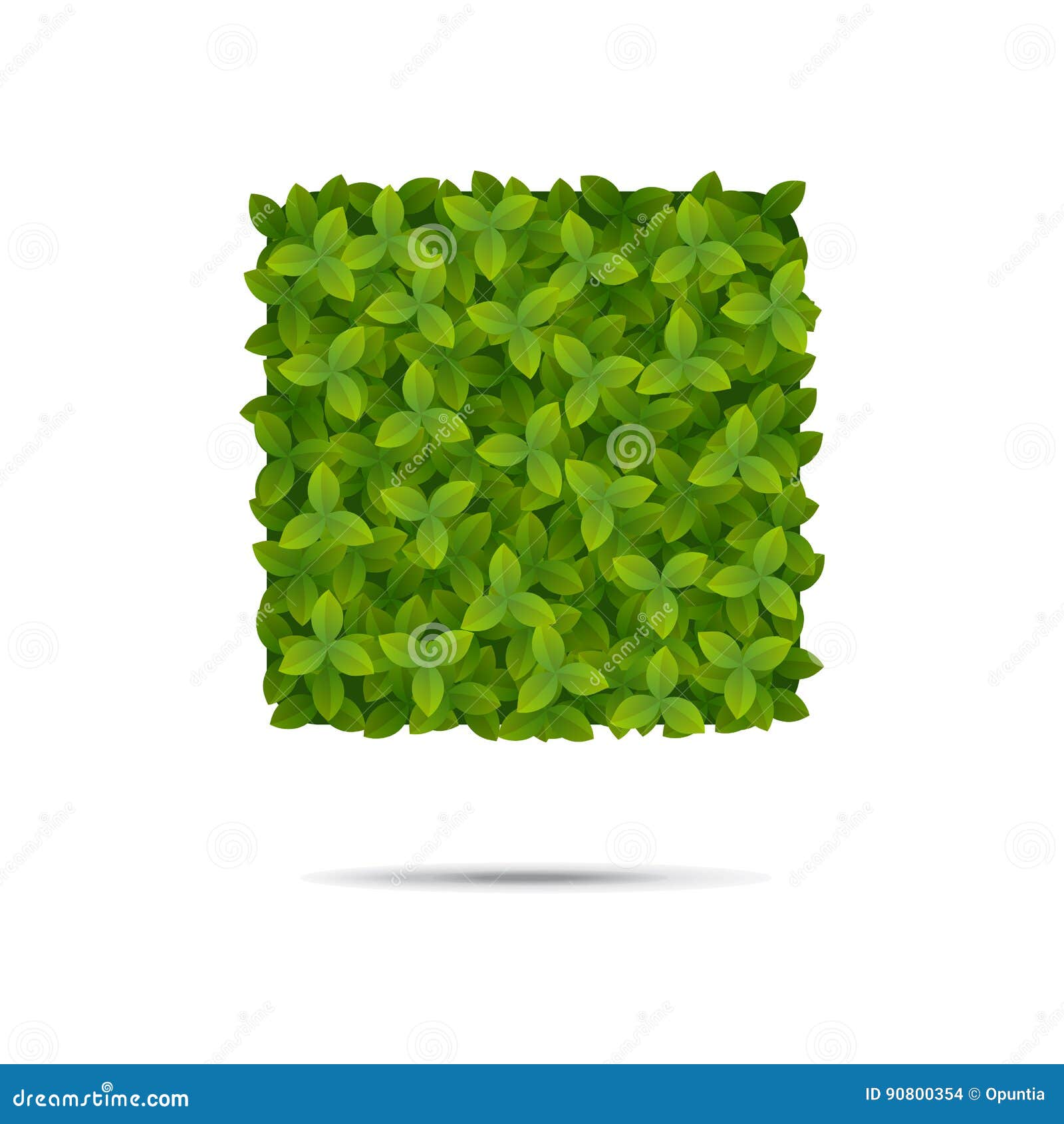 Square Shape Covered Leaves Stock Illustrations – 6 Square Shape ...