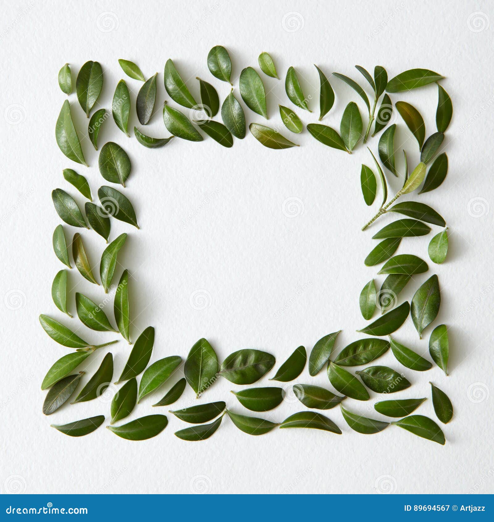 Square Shape of Green Leaves Stock Image - Image of blank, bright: 89694567