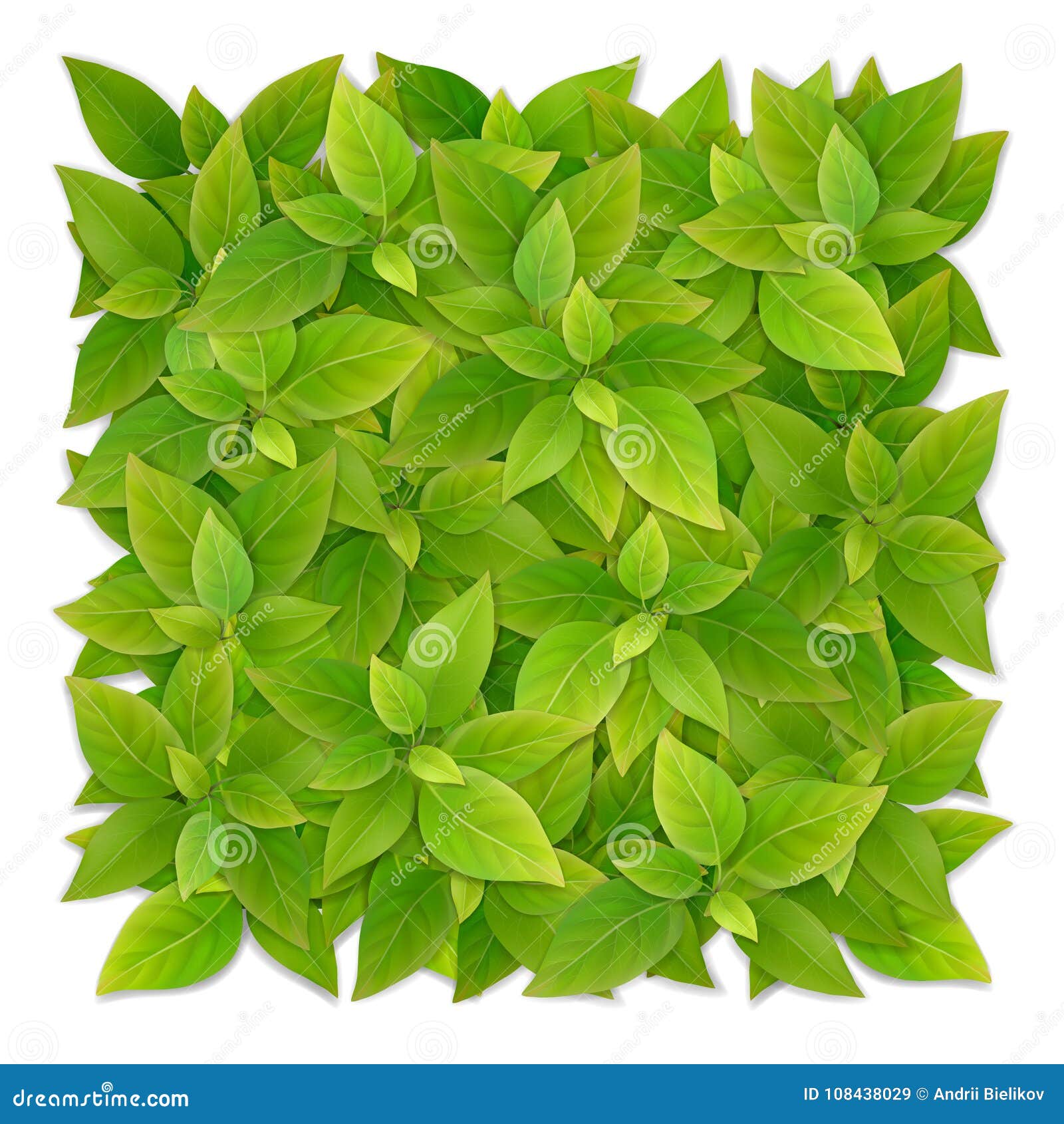 Square Shape from Green Leaves Stock Vector - Illustration of leaf ...