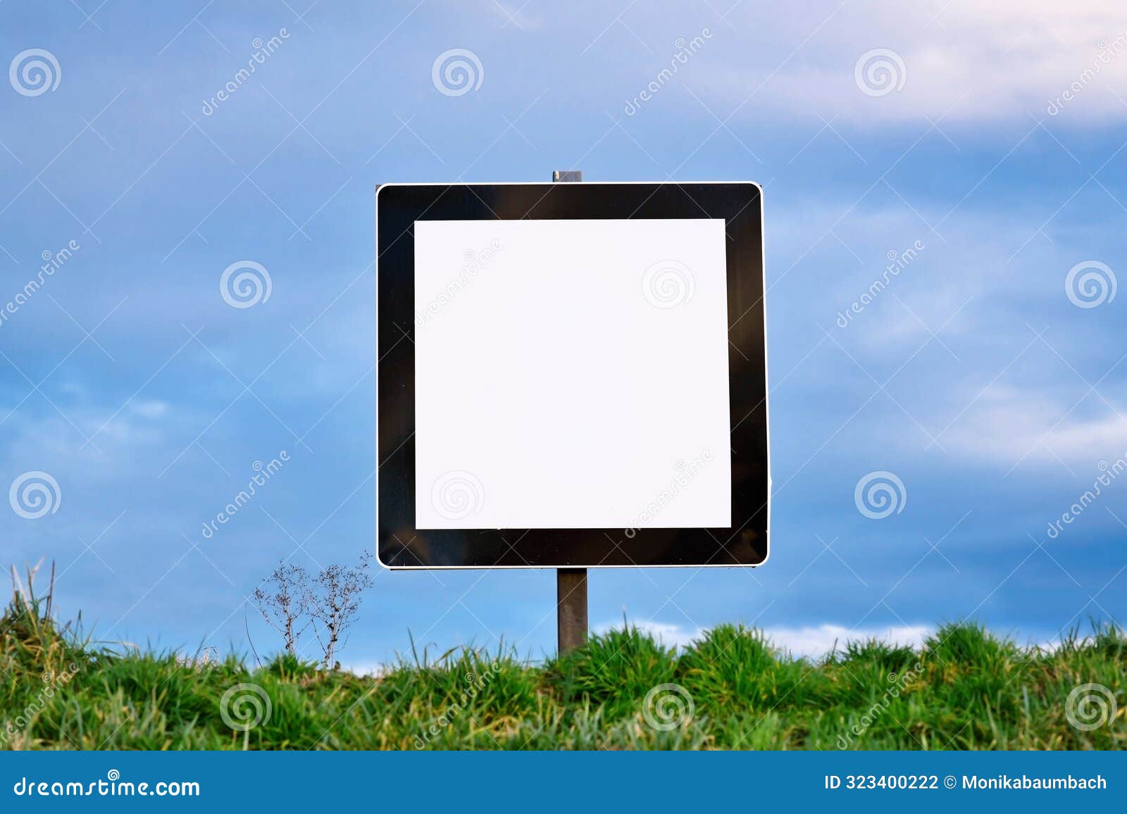 Square Shaped Empty Billboard on Grass Stock Photo - Image of square ...